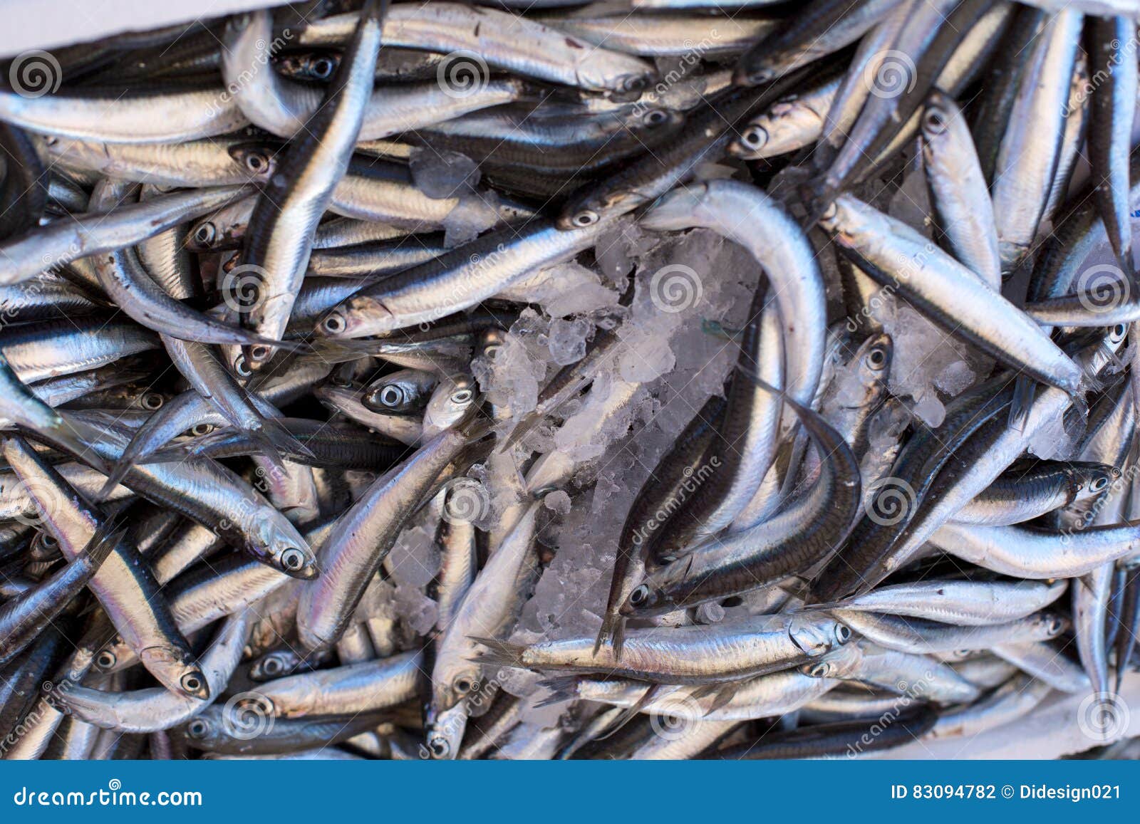 Fresh Sea Fish Hooked. Smelt Stock Photo - Image of dinner, market ...