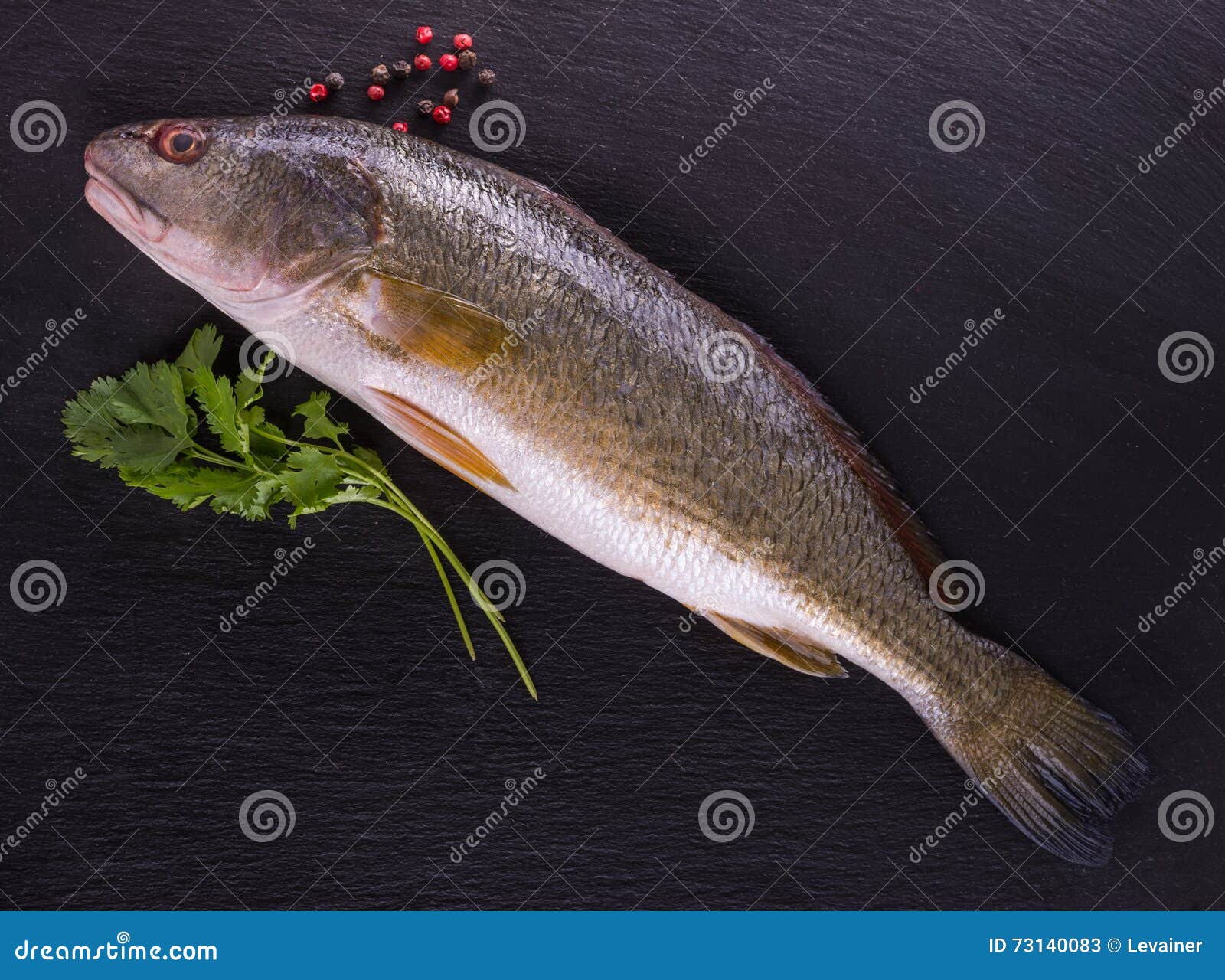 Fresh sea fish stock image. Image of potherb, fish, market - 73140083