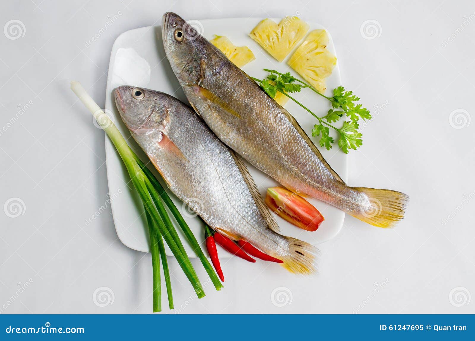 Fresh sea fish stock image. Image of frying, onions, soup - 61247695