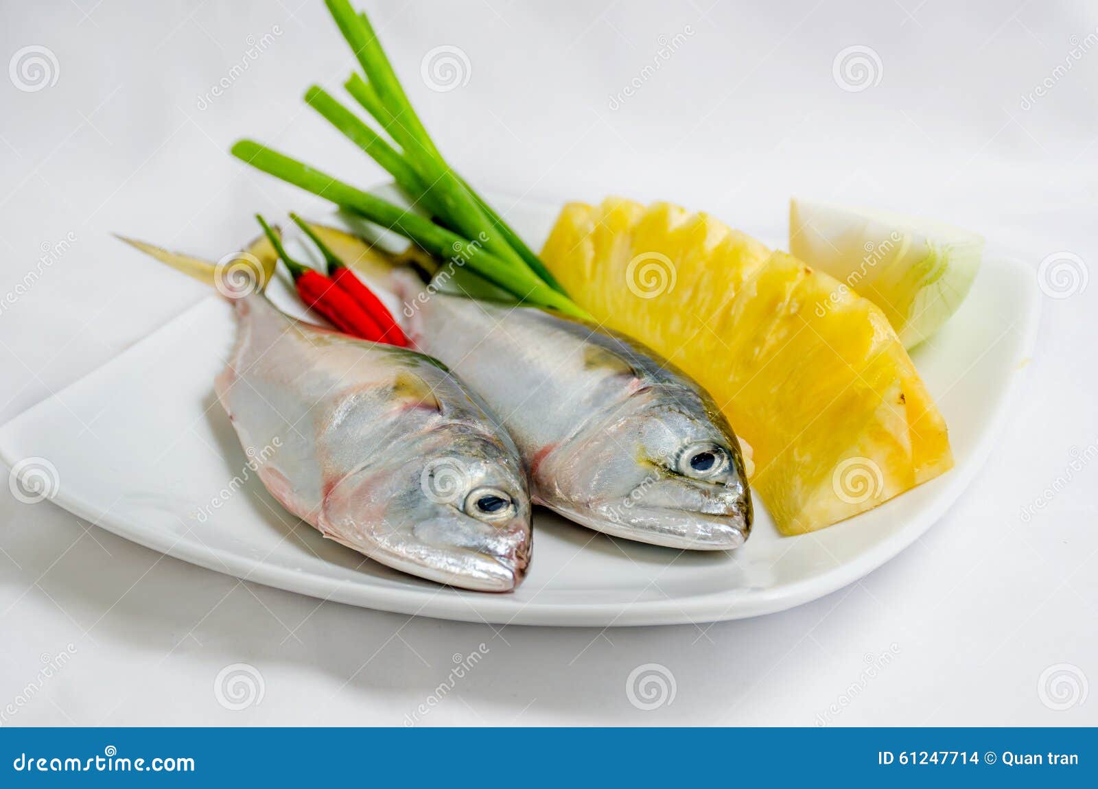 Fresh sea fish stock photo. Image of south, fresh, freezing - 61247714