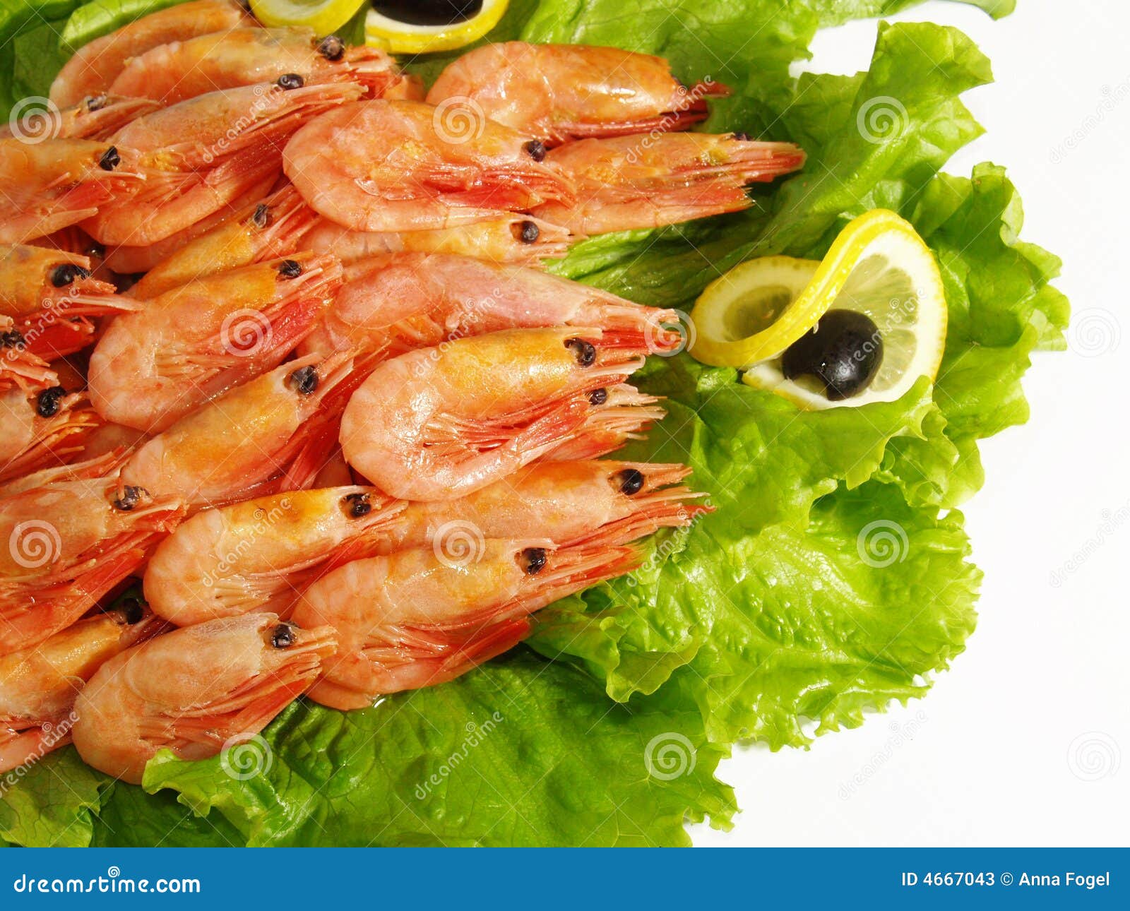 Fresh sea prawns stock image. Image of boiled, roasted - 4667043