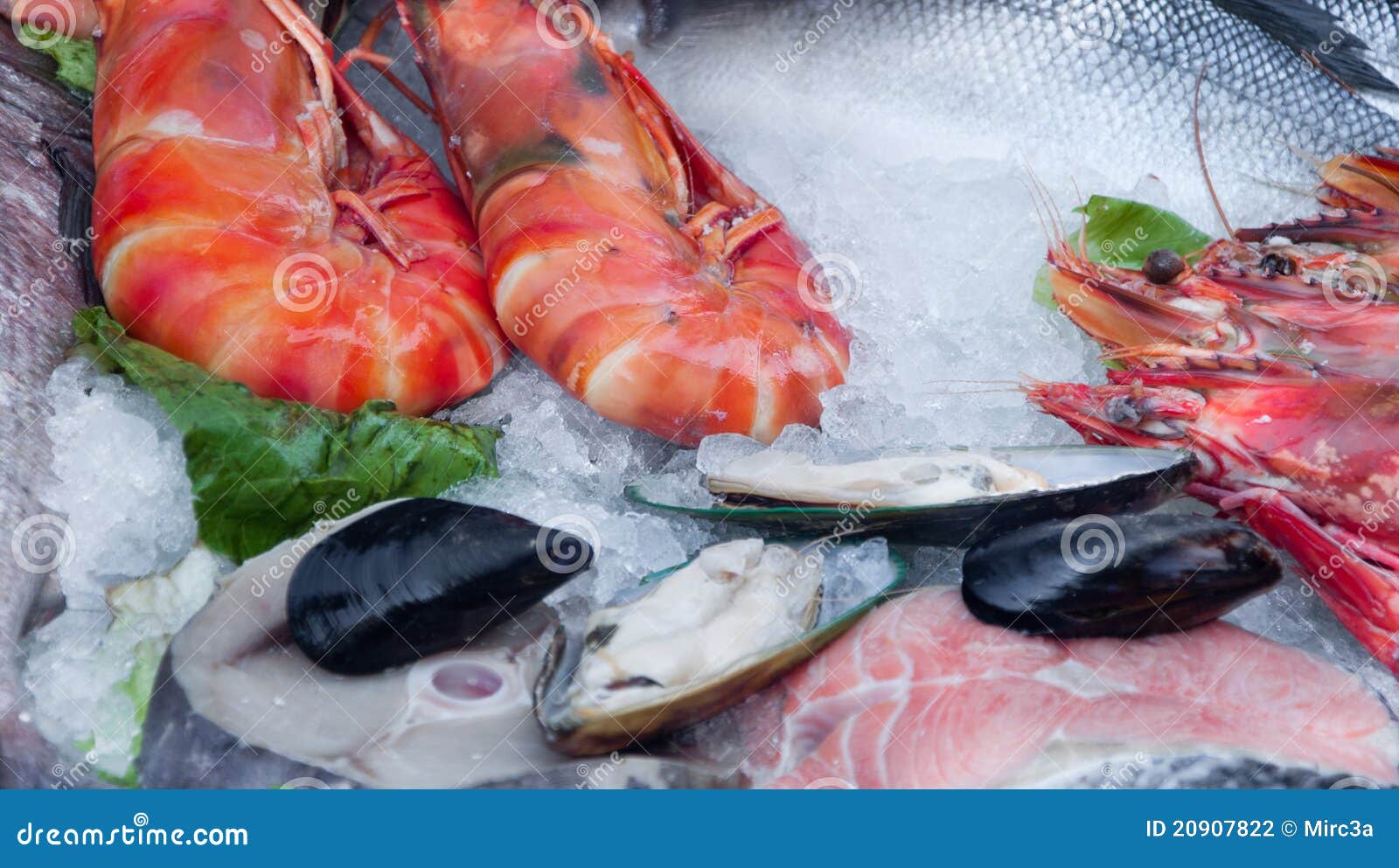Fresh seafood stock photo. Image of freshness, aquatic - 20907822