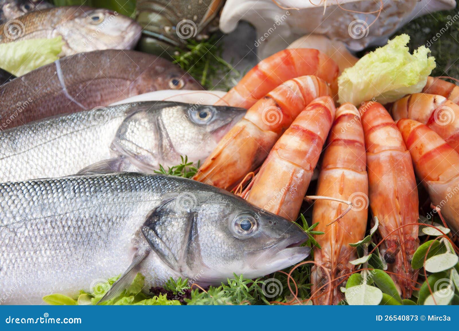 Fresh seafood stock image. Image of gourmet, meal, fresh - 26540873