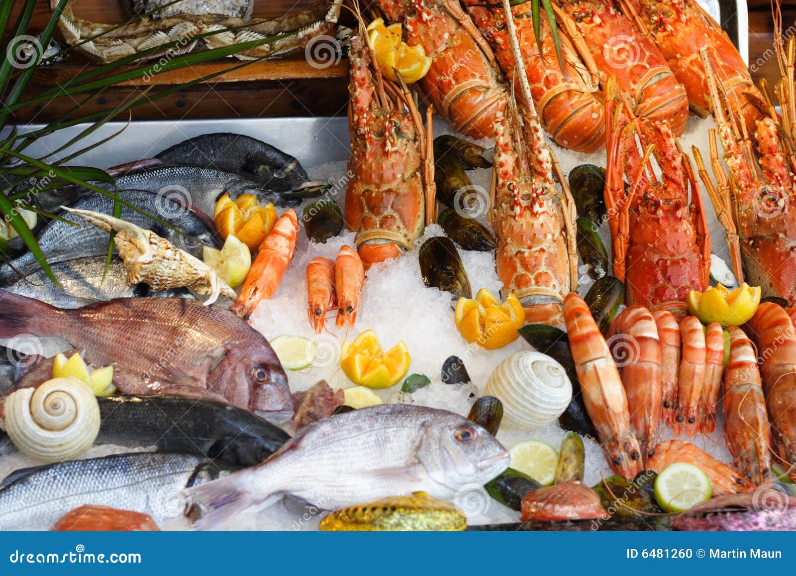 Fresh Seafood stock photo. Image of fresh, mussels, ocean - 6481260