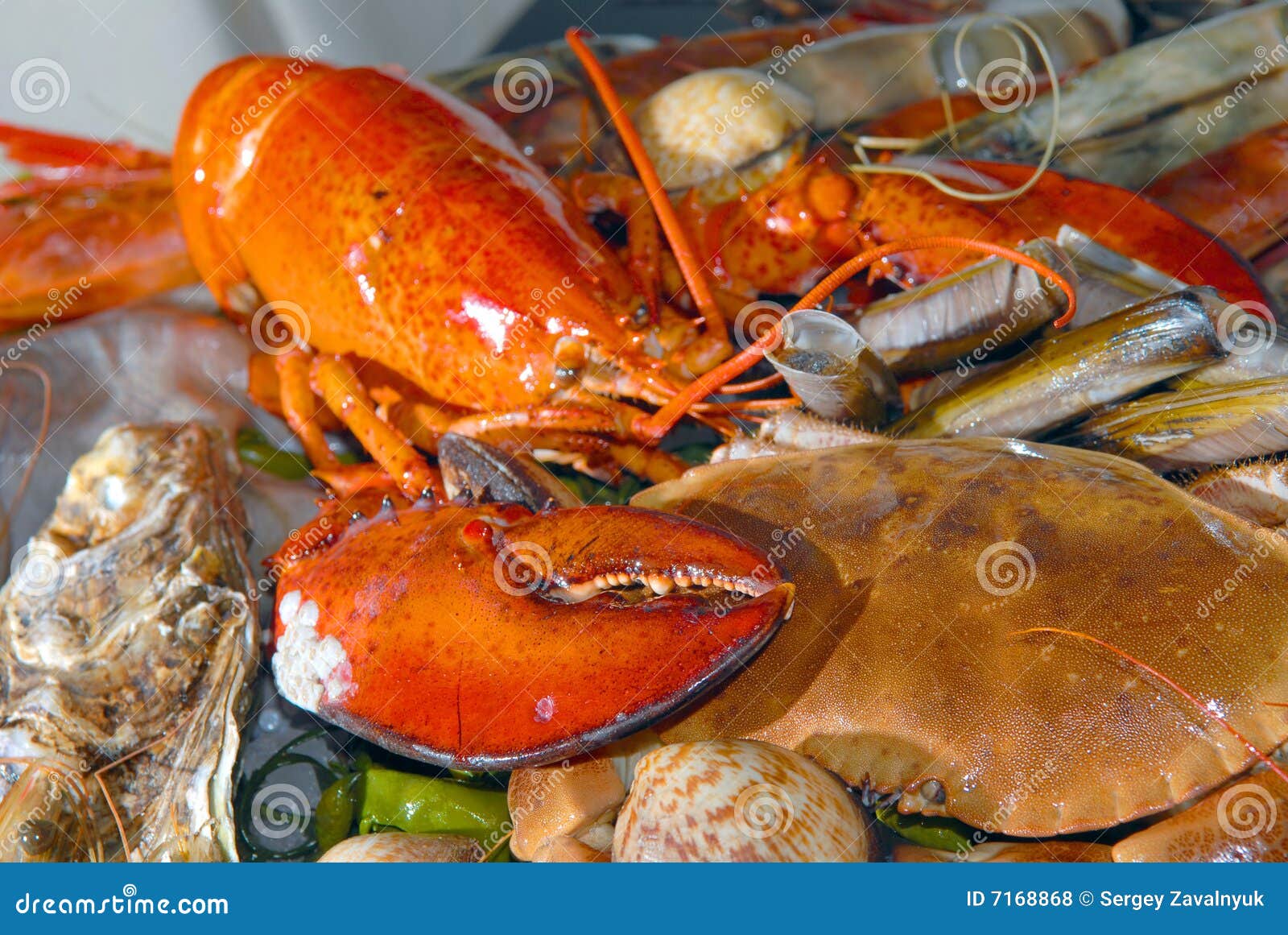Fresh seafood stock photo. Image of products, seafood - 7168868