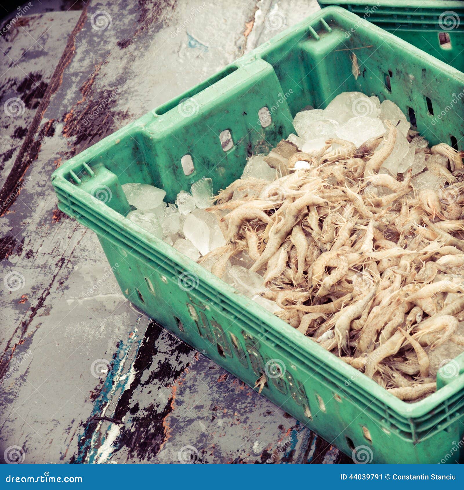 Fresh Seafood in Boxes at the Fish Market Stock Image - Image of ...