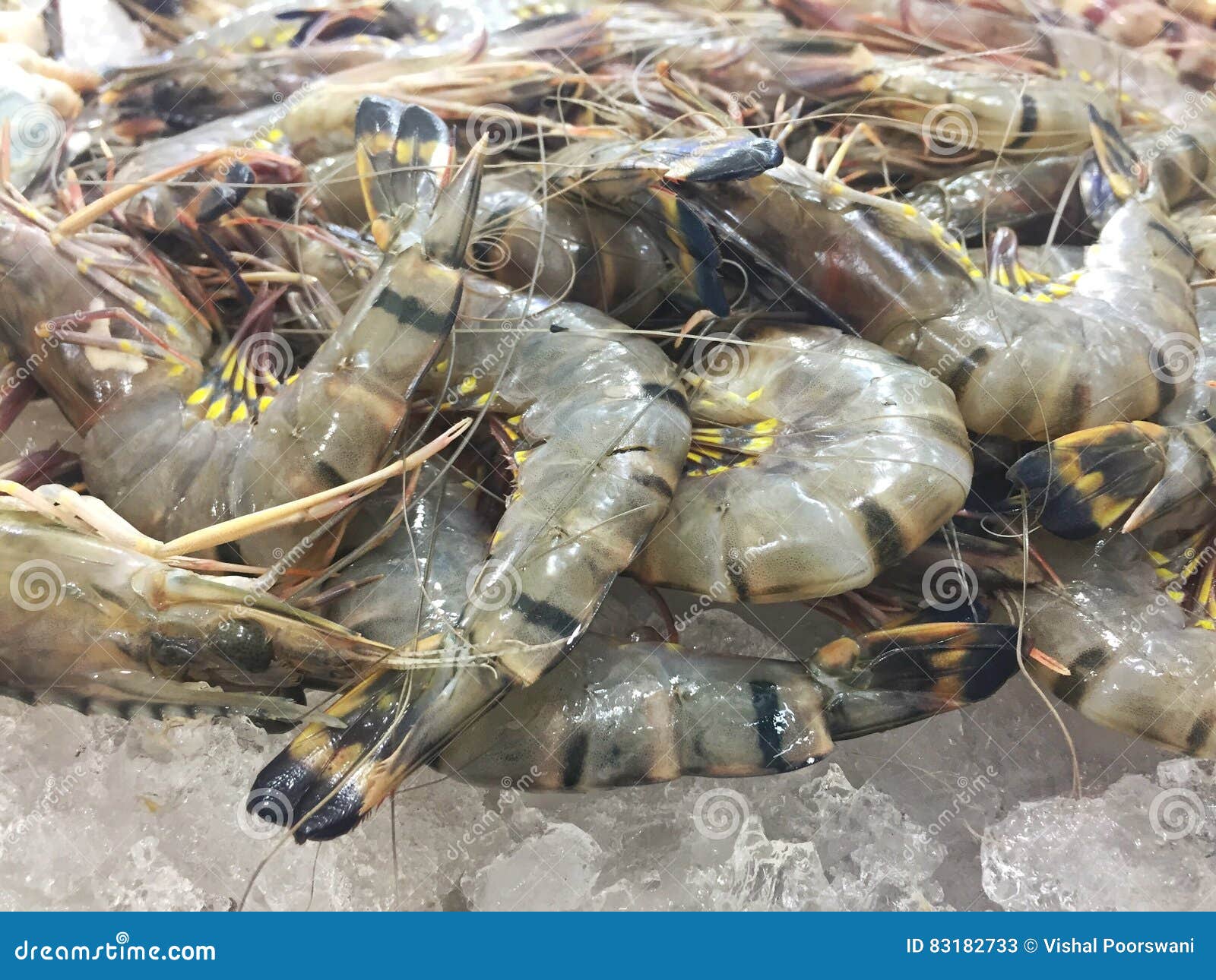 Fresh seafood stock image. Image of shrimp, seafood, catch - 83182733