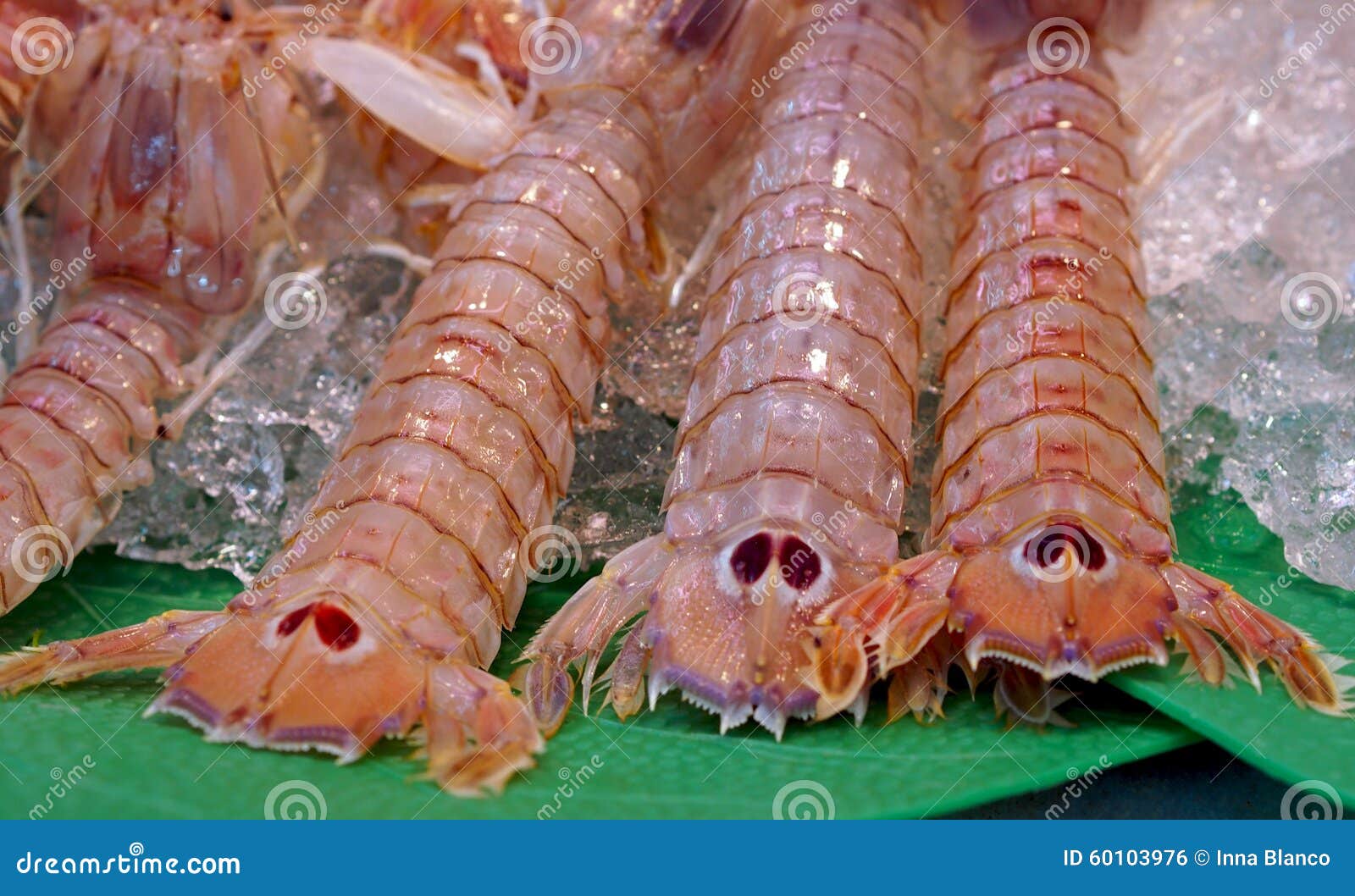 Fresh Seafood - Close View of Mantis Shrimp Tails Stock Photo - Image ...