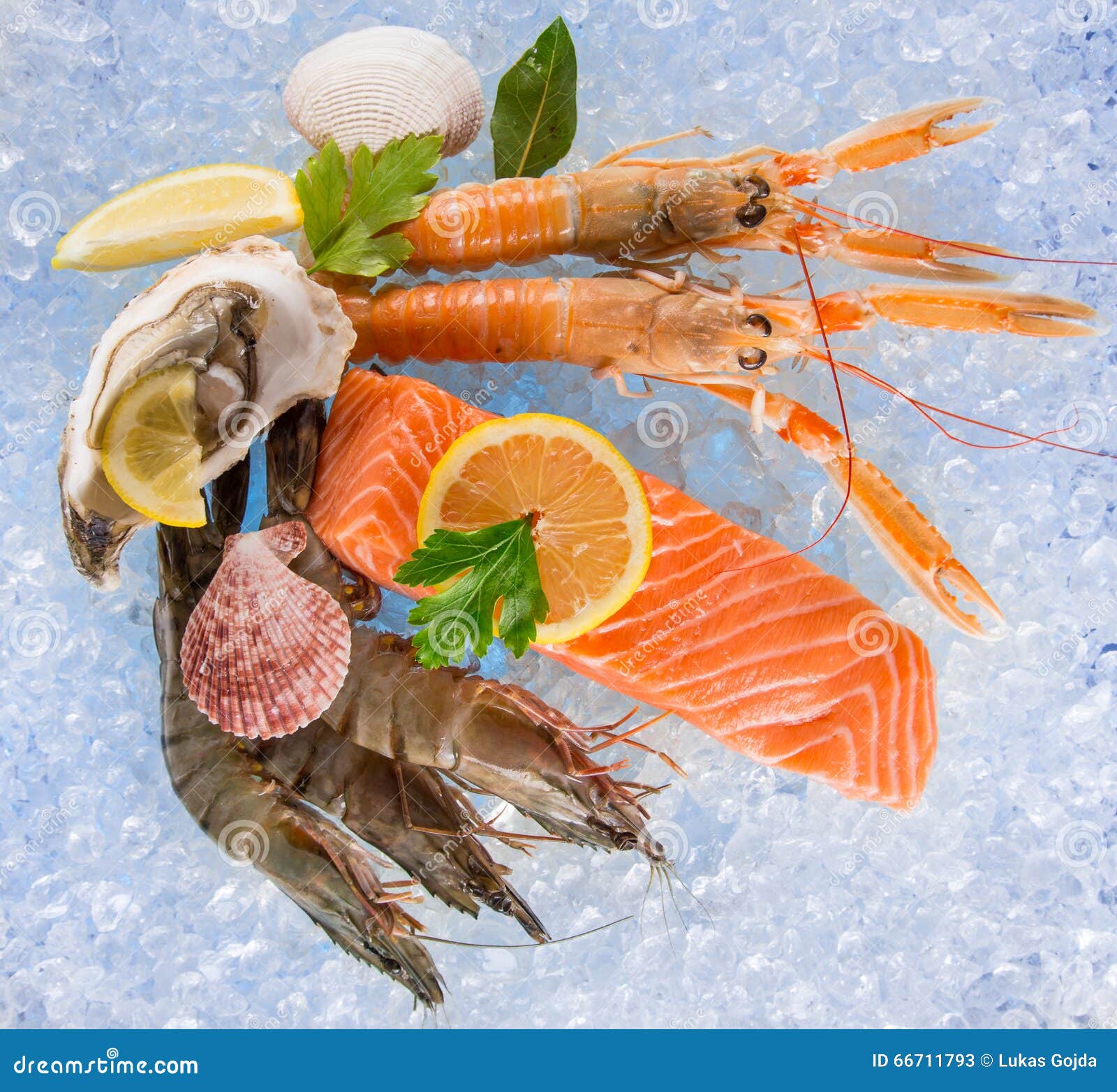 Fresh Seafood on Crushed Ice. Stock Image - Image of fresh, fishing ...