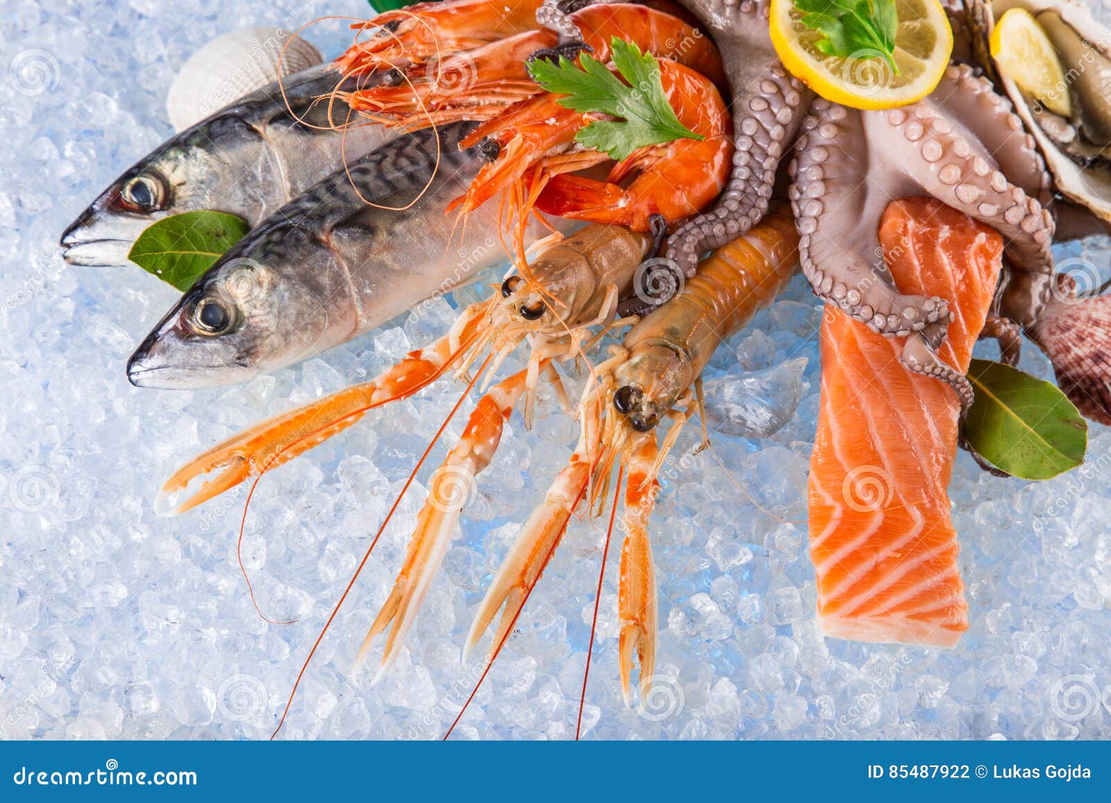Fresh Seafood on Crushed Ice. Stock Photo - Image of catch, fish: 85487922
