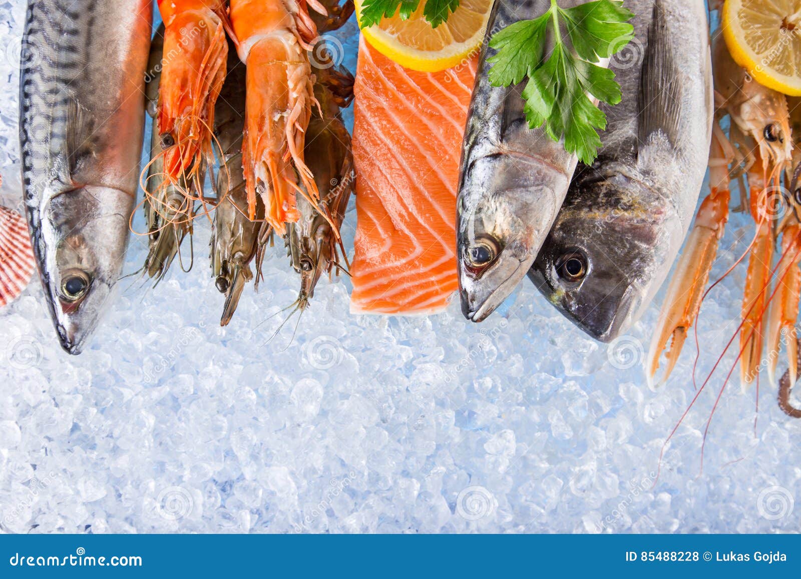 Fresh Seafood on Crushed Ice. Stock Photo - Image of food, closeup ...