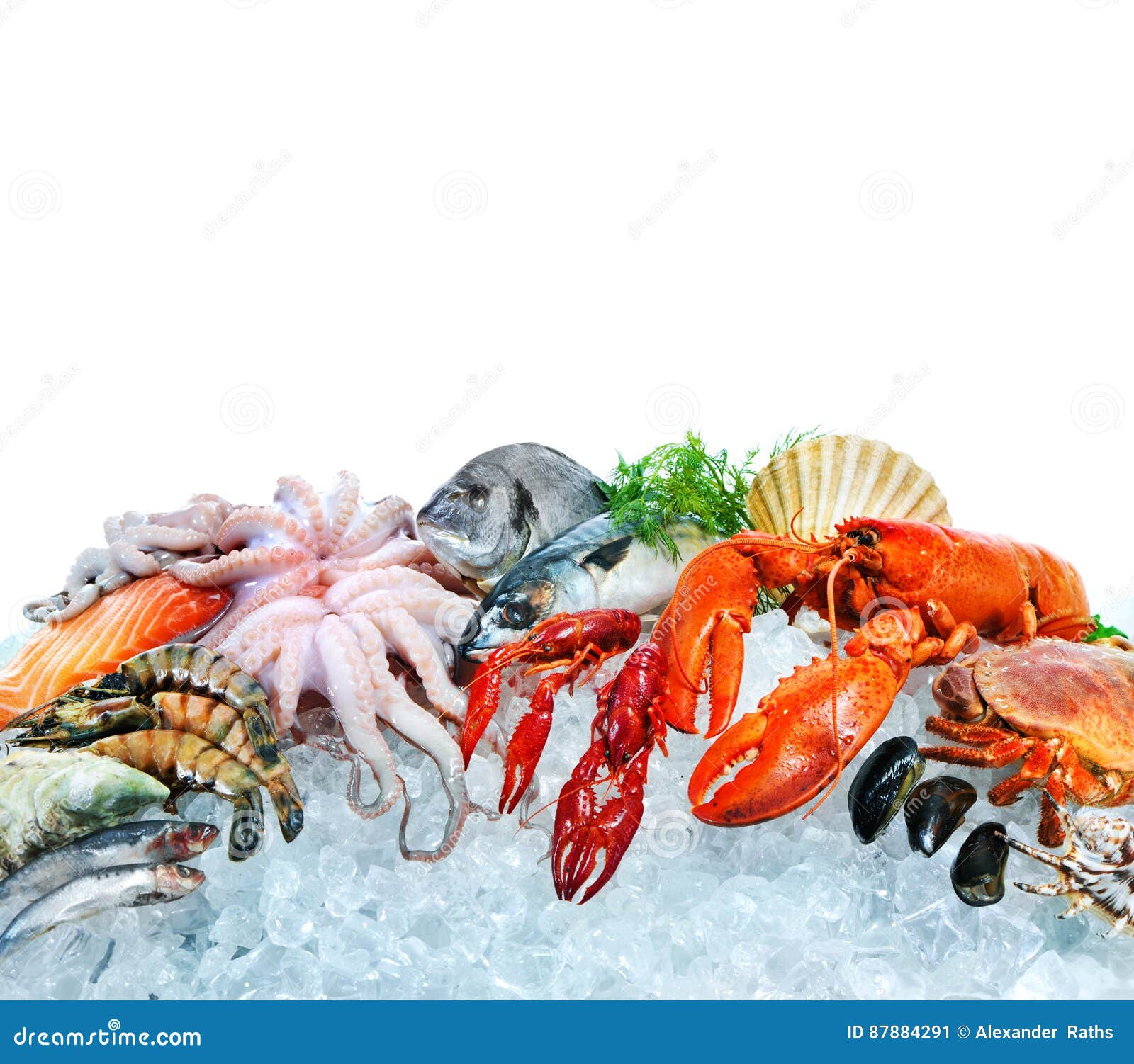 Fresh Seafood on Crushed Ice Stock Image - Image of fresh, delicious ...