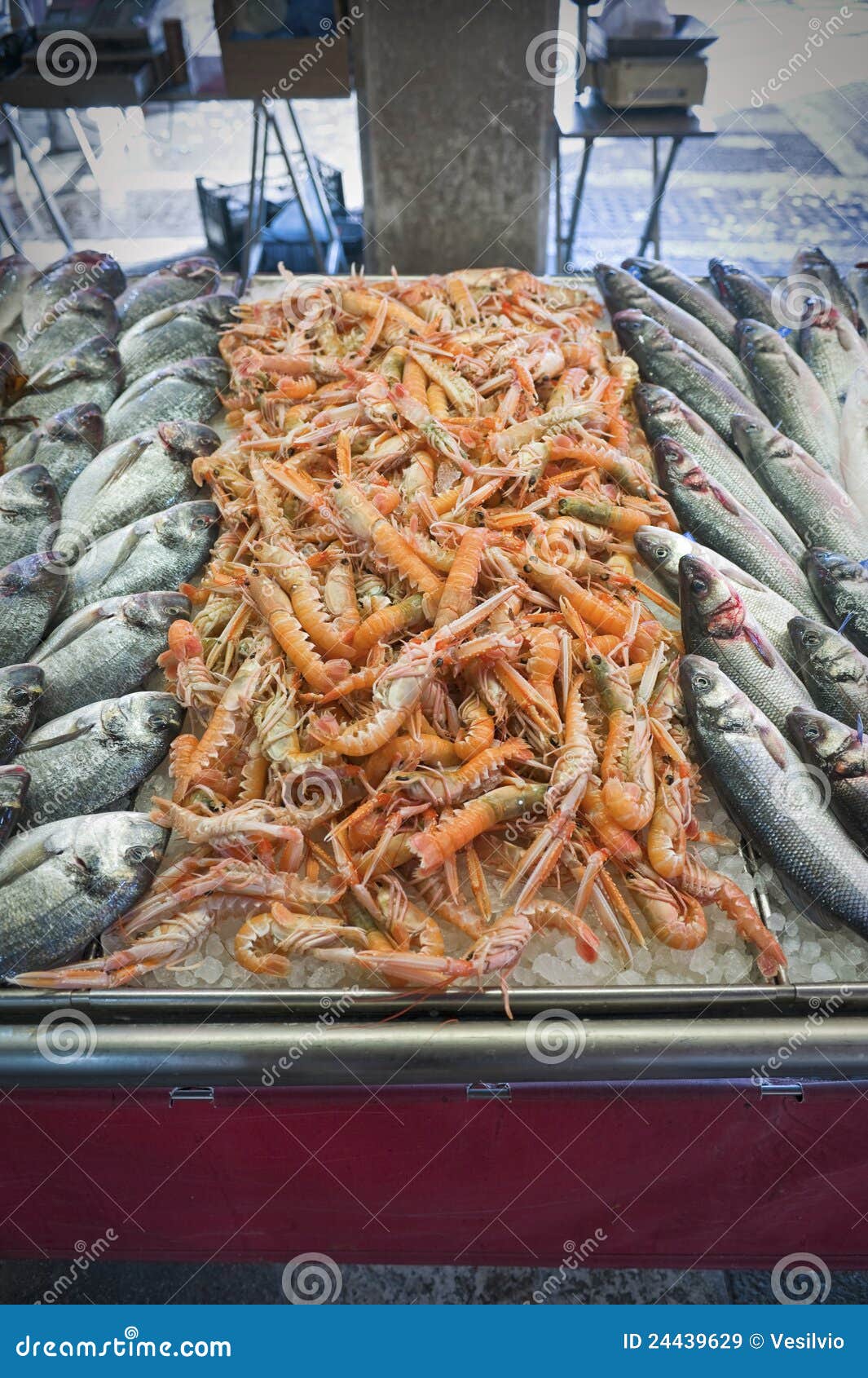 Fresh Seafood at Fish Market Stock Image - Image of bass, food: 24439629