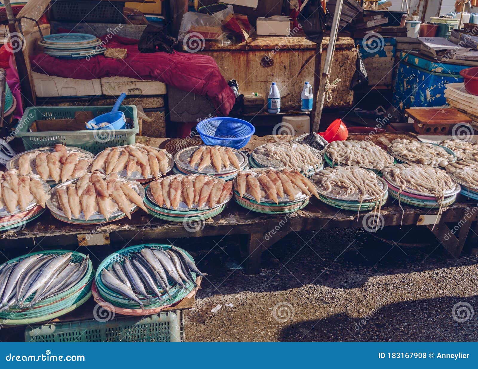 Fresh Seafood at Fish Market in Busan Stock Photo - Image of business ...