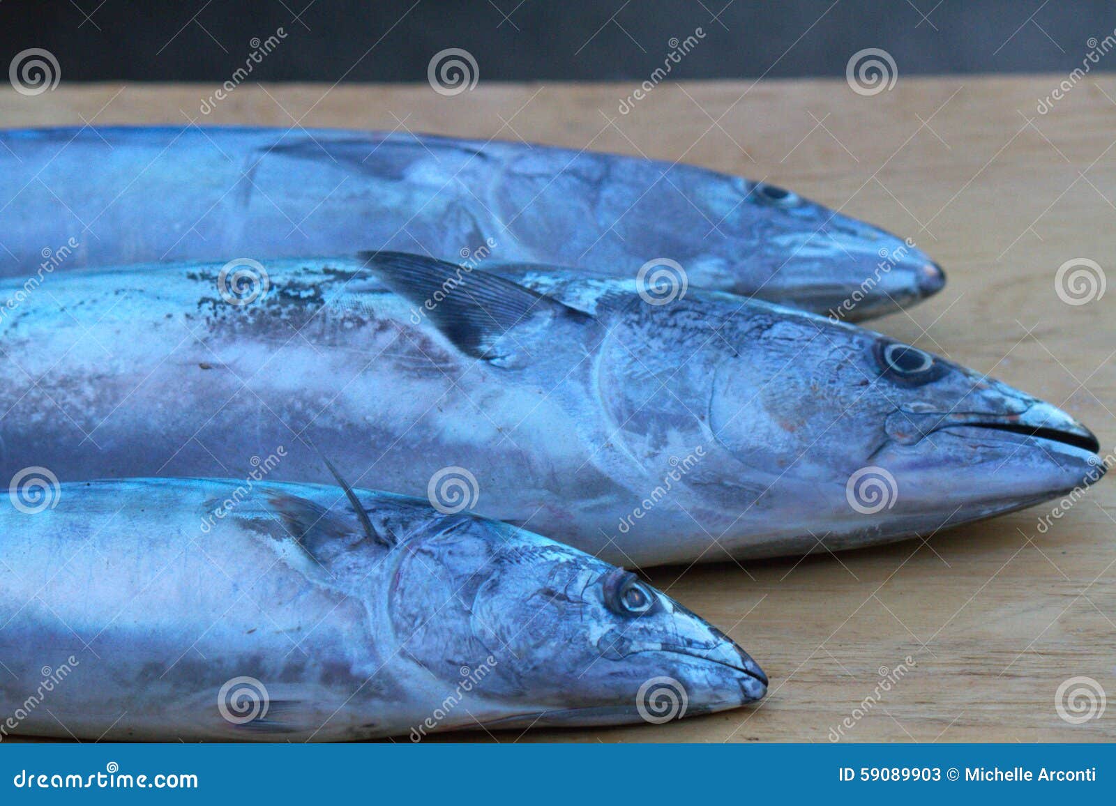 Fresh Seafood stock image. Image of cook, bonito, fresh - 59089903