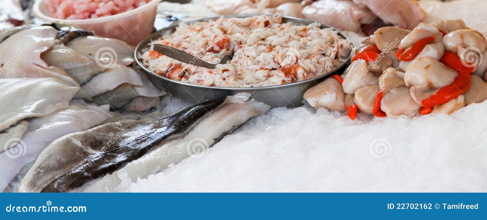 Fresh Seafood on Ice stock photo. Image of shellfish - 22702162
