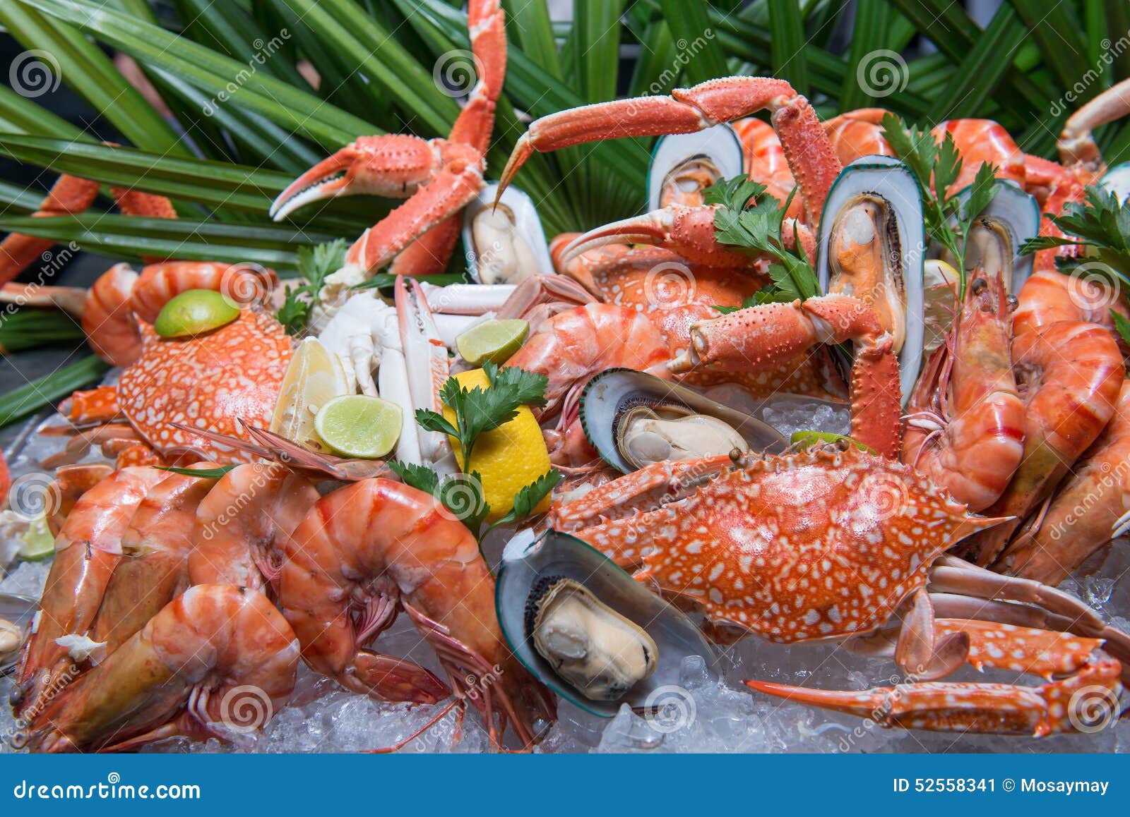 Fresh seafood on ice stock image. Image of nature, shell - 52558341