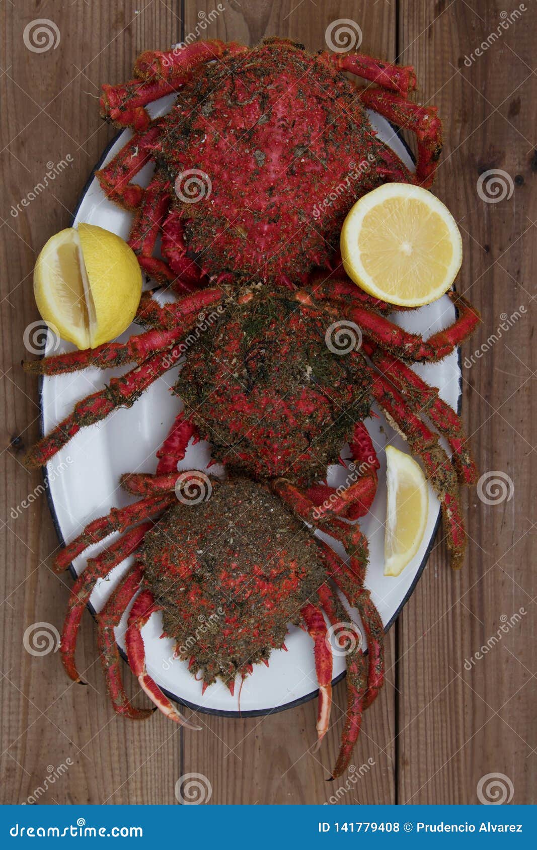 Seafood, spider crabs stock photo. Image of gourmet - 141779408