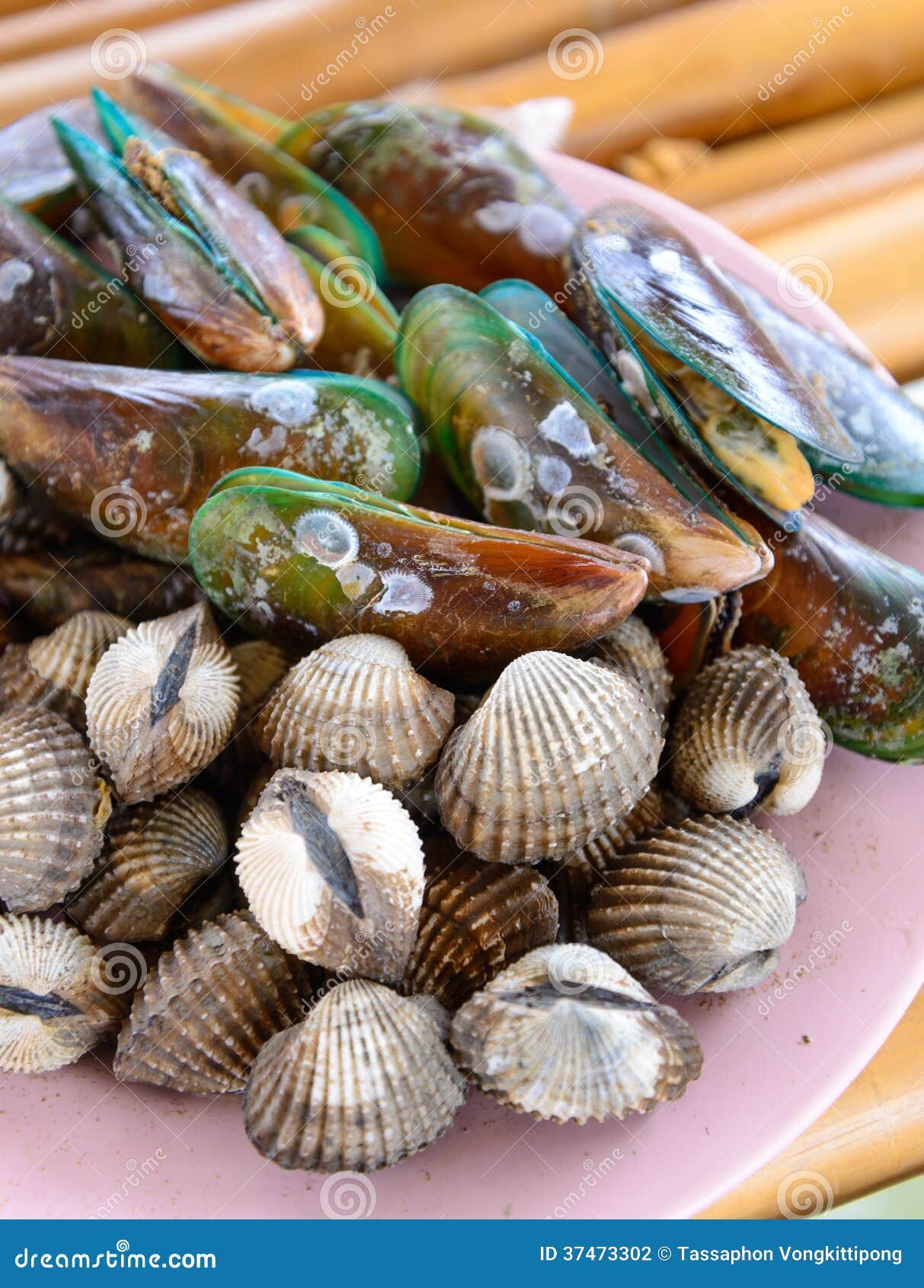 Fresh seafood mussels stock photo. Image of thailand - 37473302