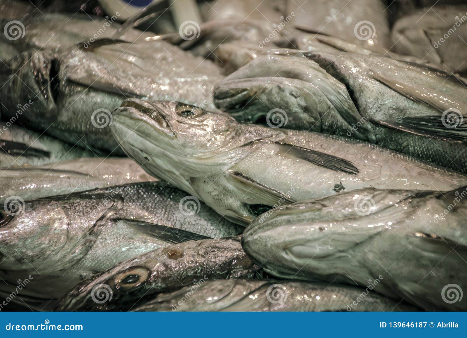 Fresh Seafood, Fresh Sea Fish with a Head Stock Image - Image of ...