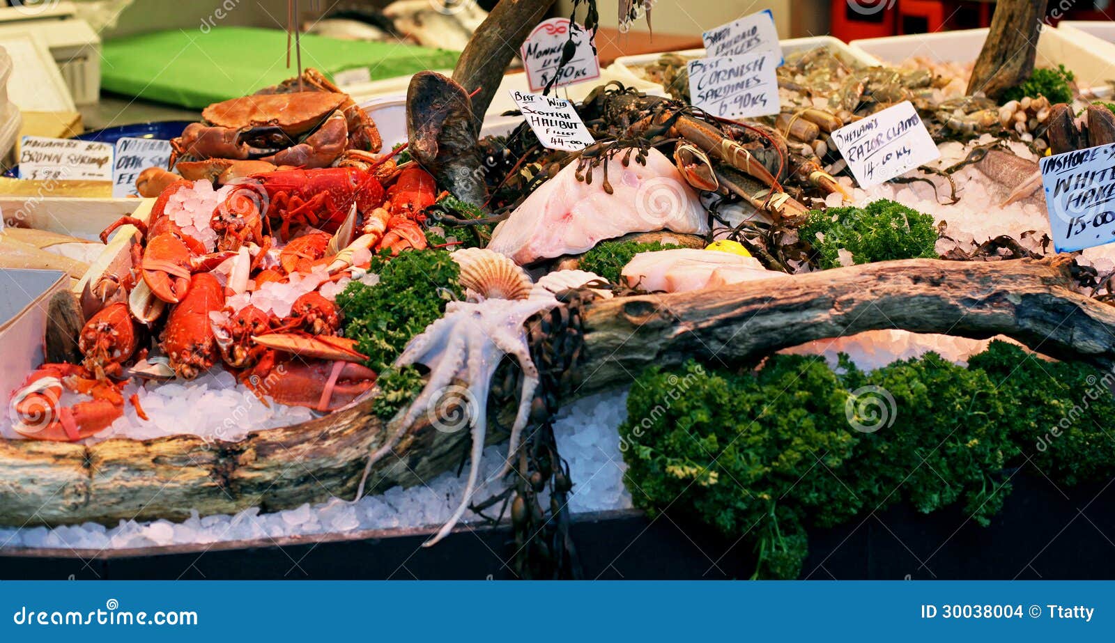 Seafood selection stock photo. Image of shellfish, fish - 30038004