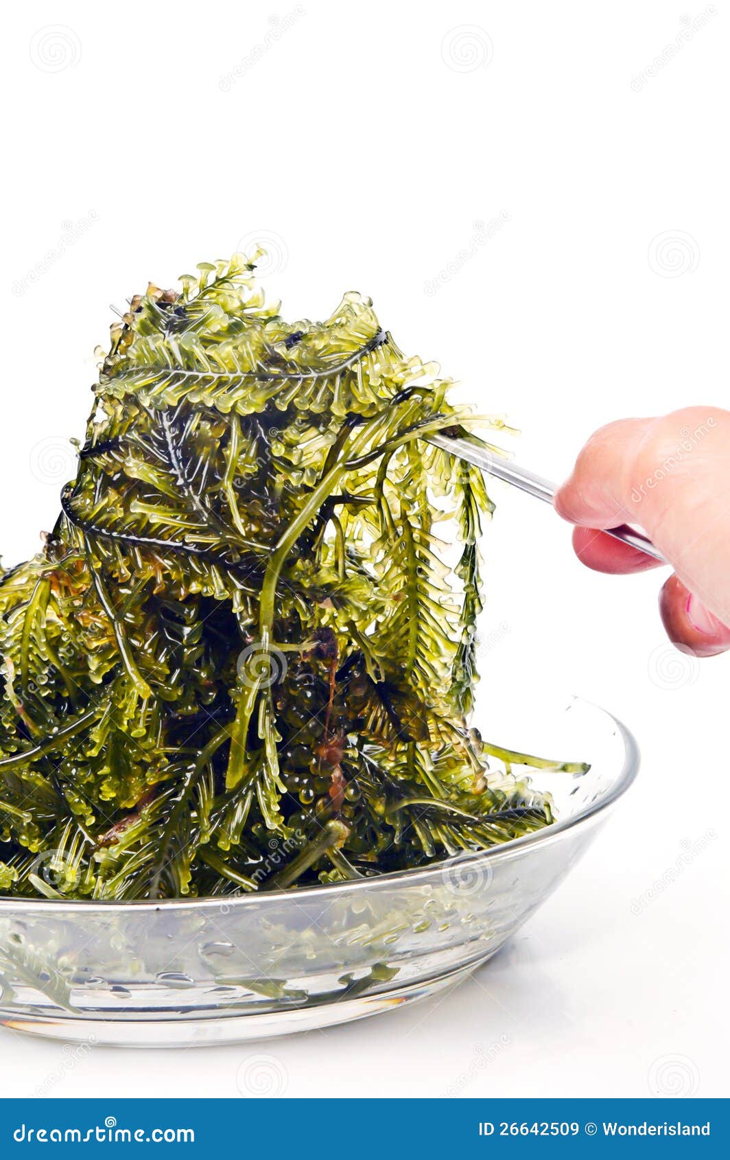 Fresh seaweed stock image. Image of product, background - 26642509