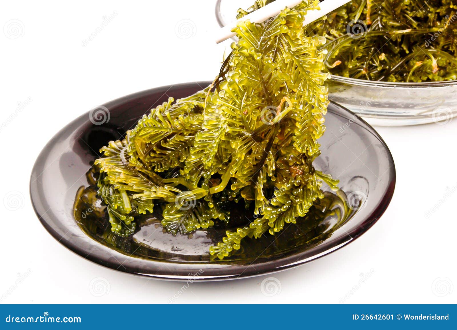 Fresh seaweed stock image. Image of fresh, cuisine, iodine - 26642601