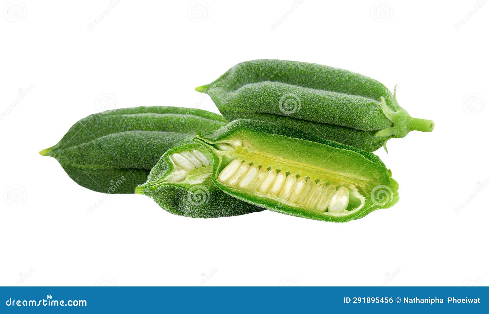 Fresh Sesame Pods Isolated on White Background Stock Photo - Image of ...