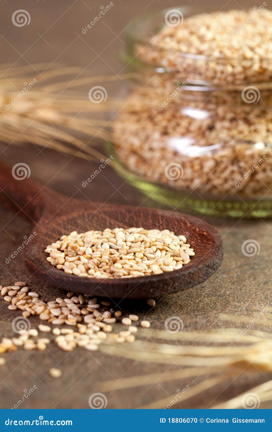 Fresh sesame seeds stock photo. Image of seed, freshness - 18806070