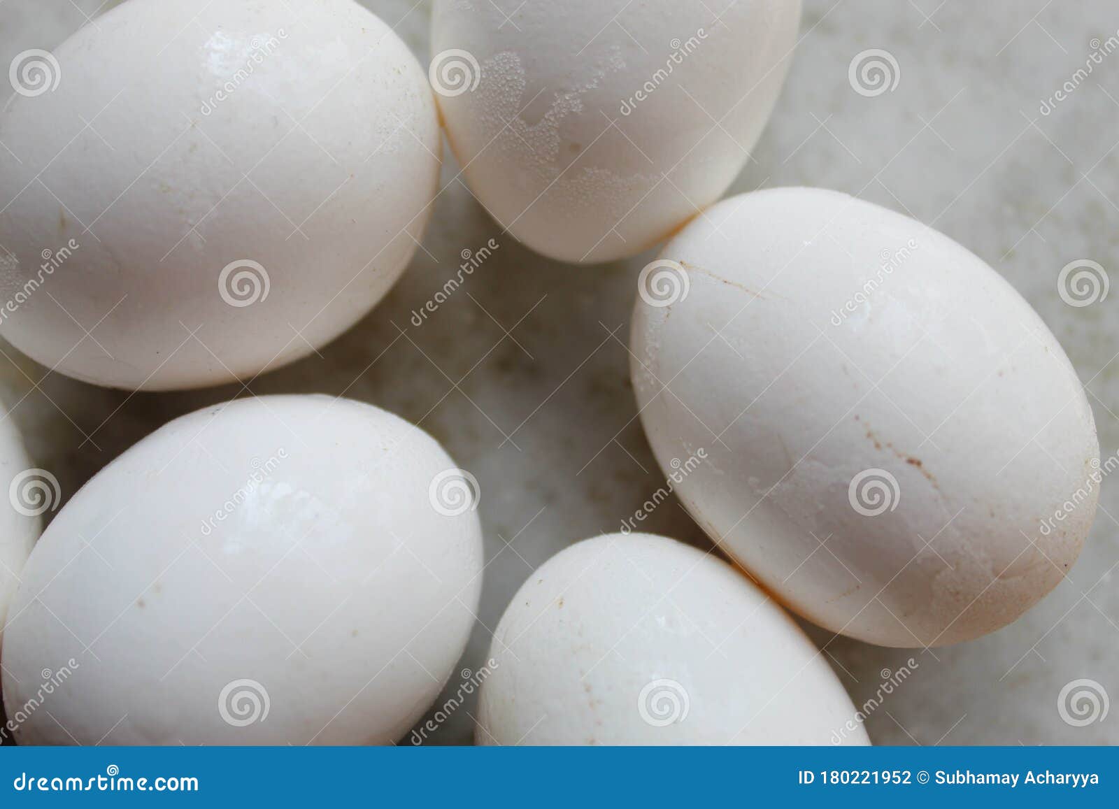 Fresh Set of Chicken`s White Eggs Display Stock Photo - Image of ...