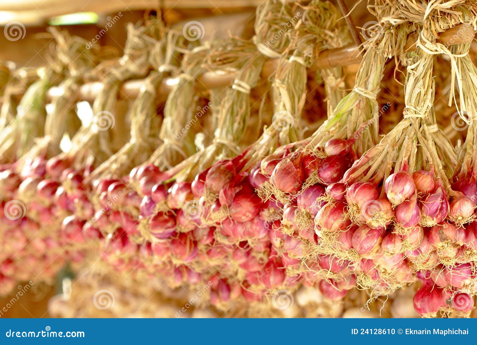 Fresh Shallot stock photo. Image of vegetarian, healthy - 24128610