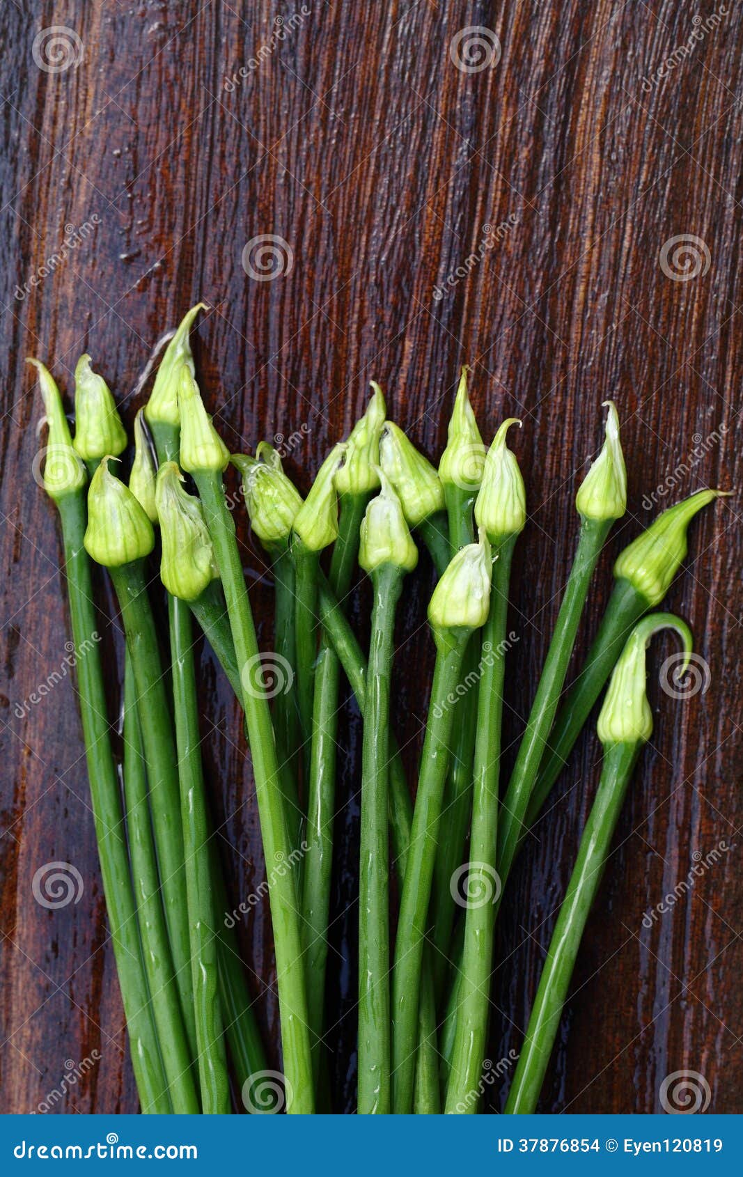 Fresh shallot flowers stock photo. Image of natural, stem - 37876854
