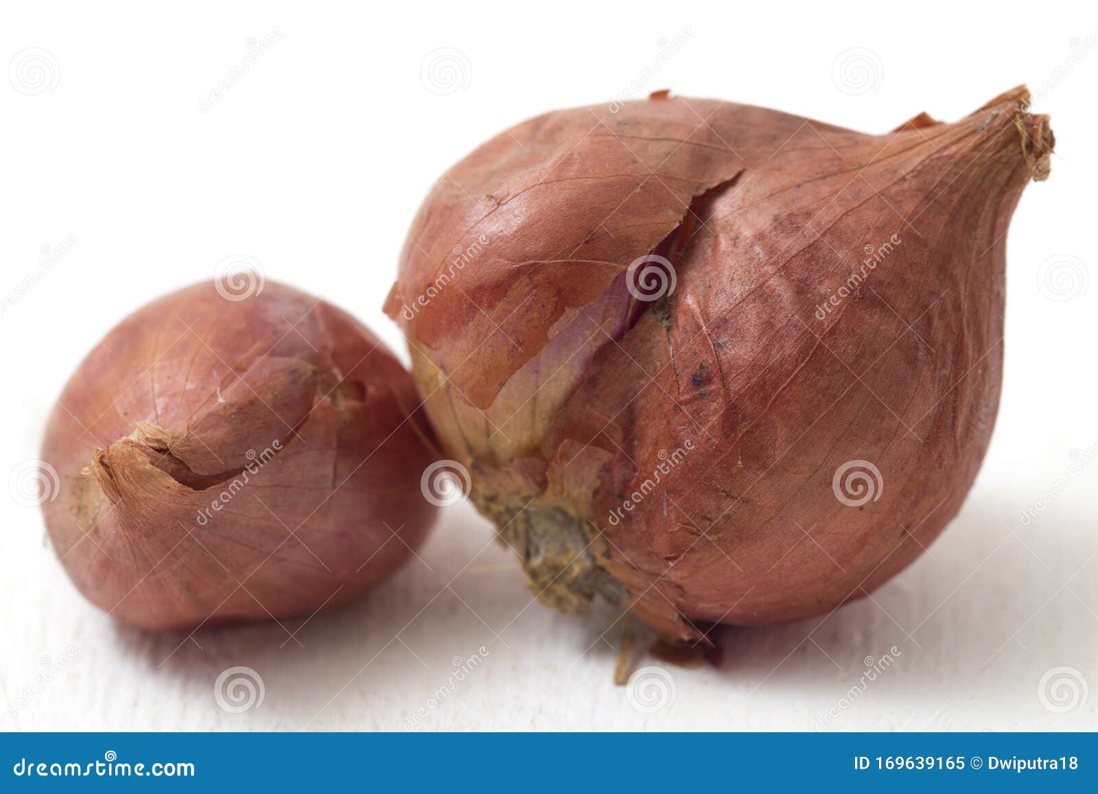 Fresh Shallots Isolated on White Stock Image - Image of grocery ...