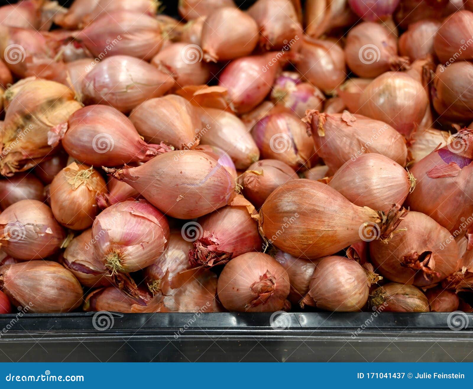 Shallots stock image. Image of vegetable, shallot, savory - 171041437