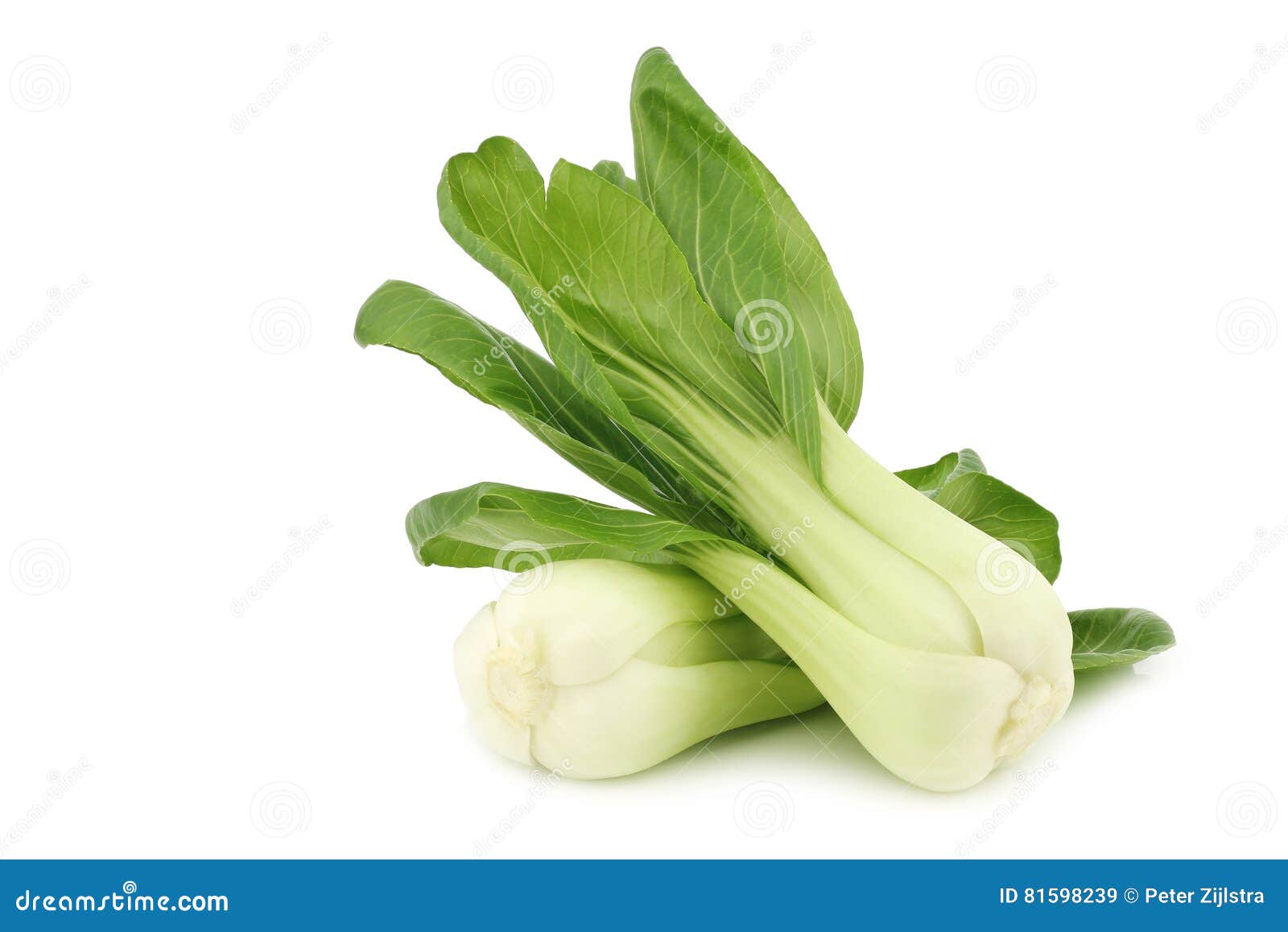 Fresh Shanghai Small Paksoi Stock Image - Image of healthy, vegetarian ...