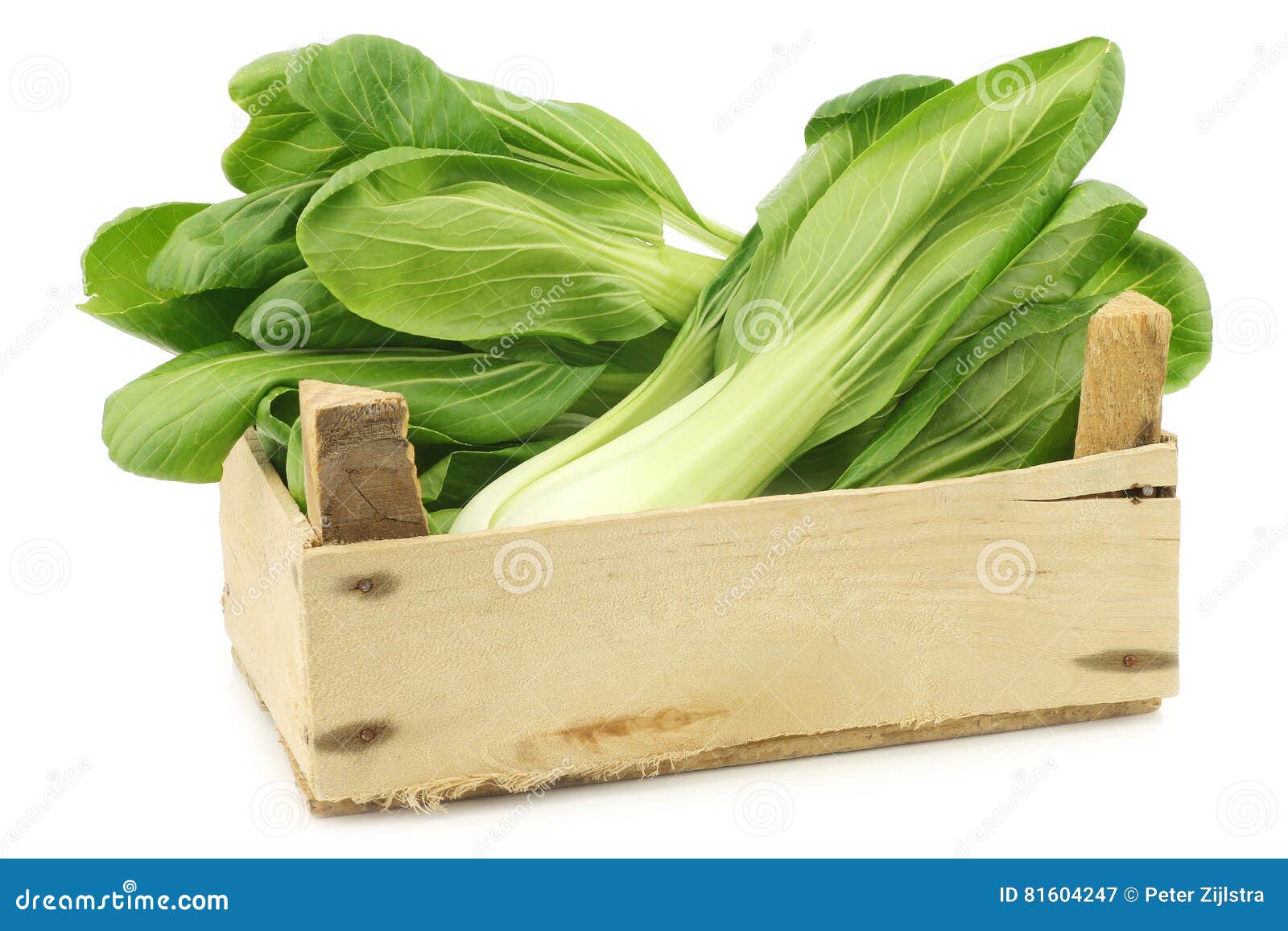 Fresh Shanghai Small Paksoi Stock Image - Image of organic, green: 81604247