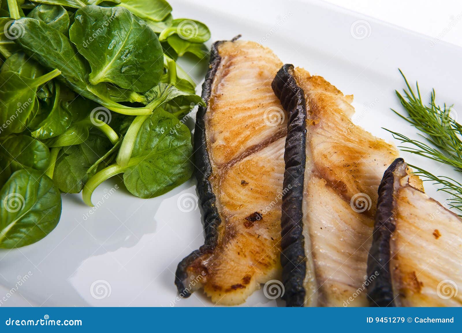 Fresh Shark Steak with Salad Stock Image - Image of salad, tomato: 9451279