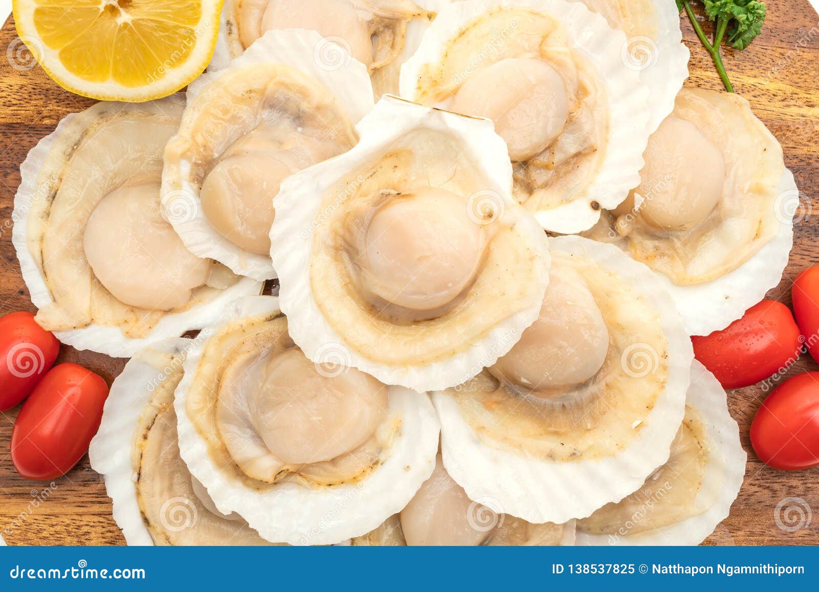 Fresh shell scallop stock image. Image of shell, scallops - 138537825