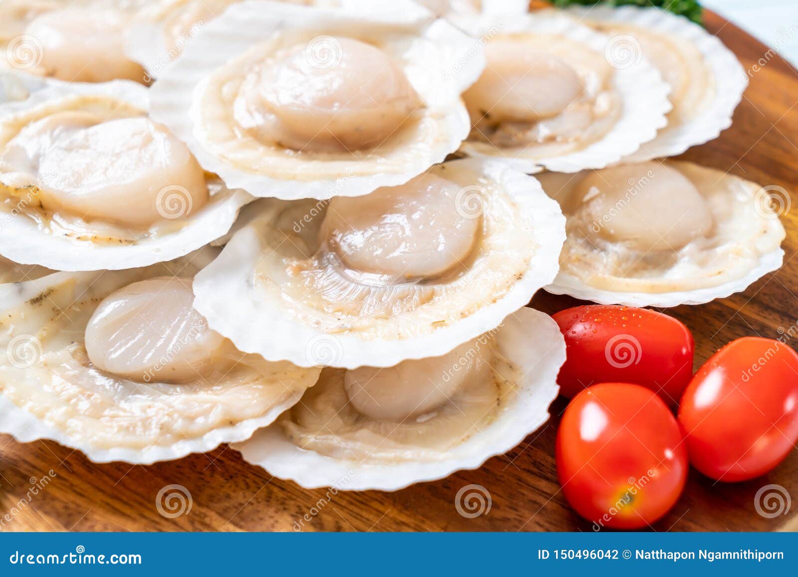 Fresh shell scallop stock photo. Image of delicious - 150496042