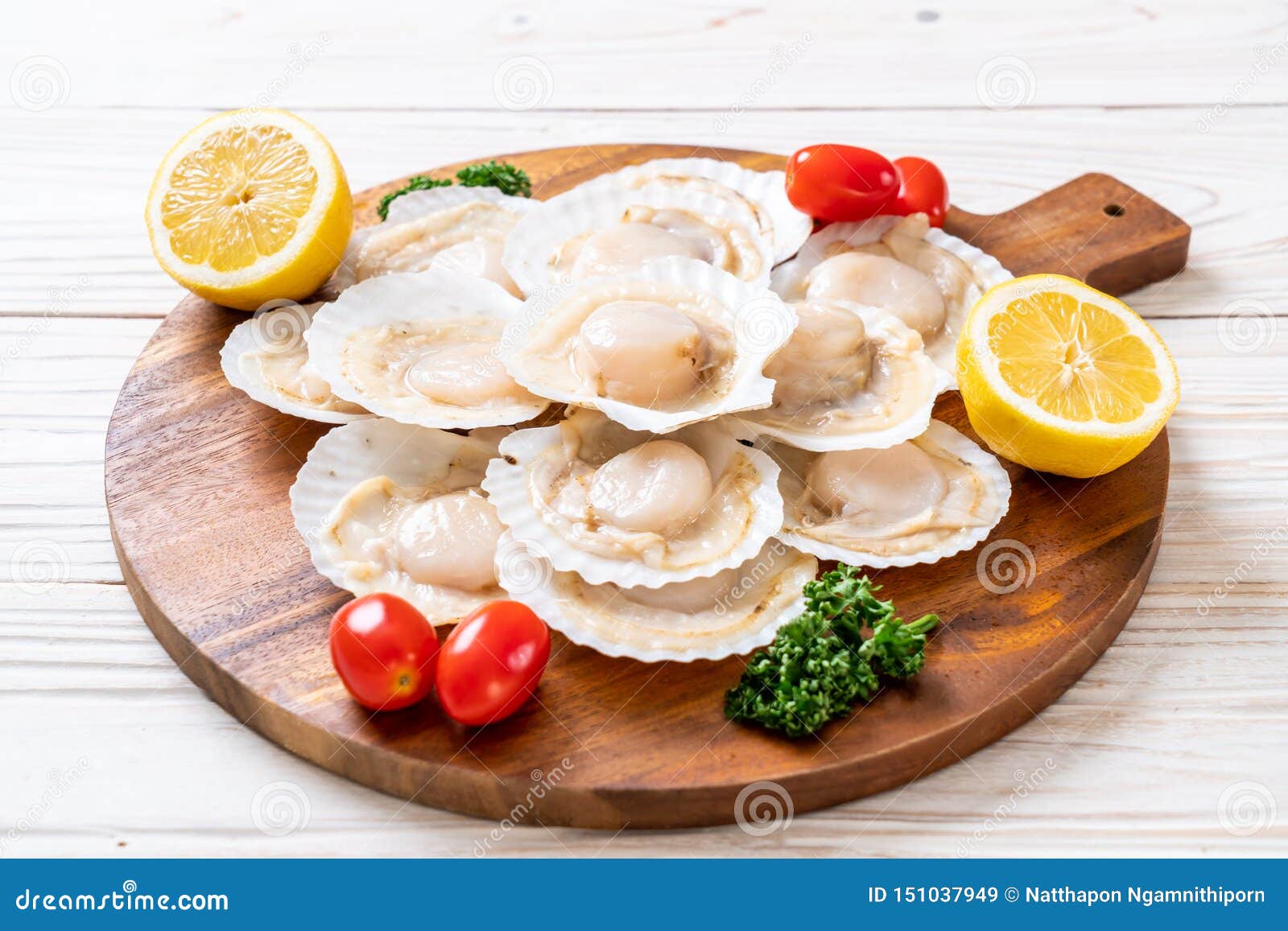 Fresh shell scallop stock image. Image of ingredient - 151037949