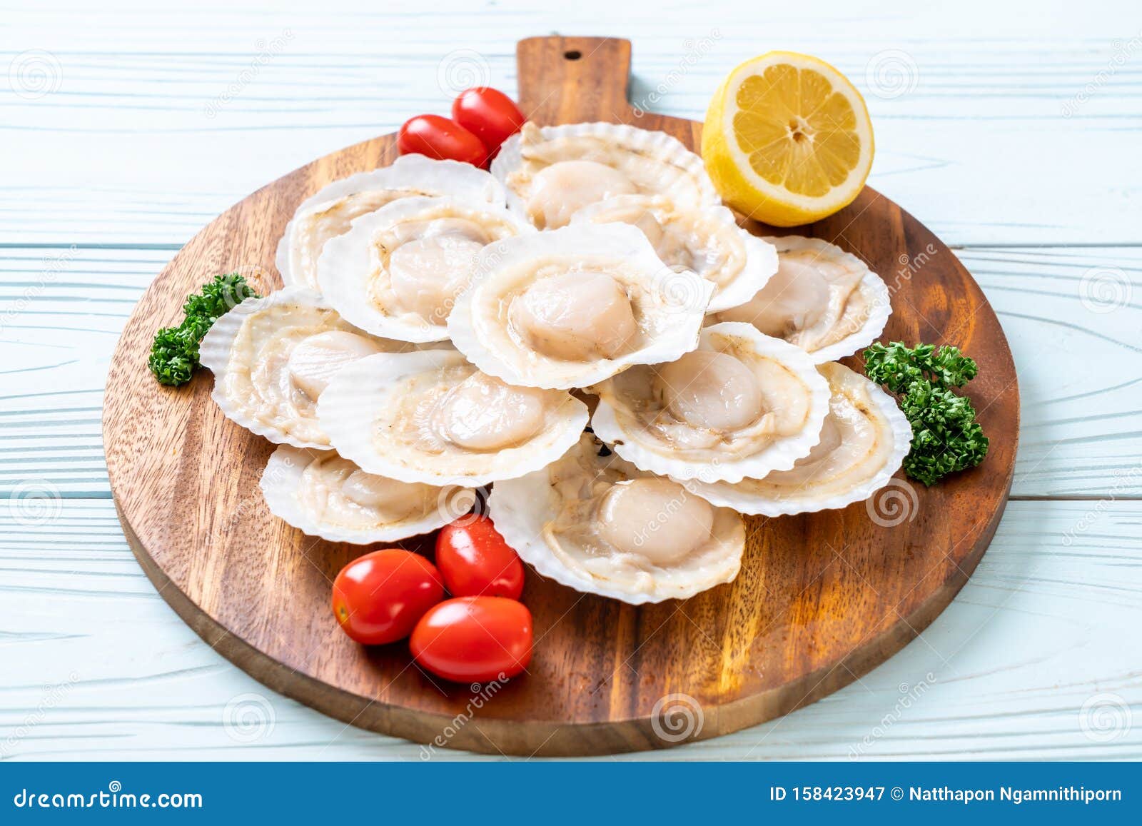 Fresh shell scallop stock image. Image of isolated, delicious - 158423947