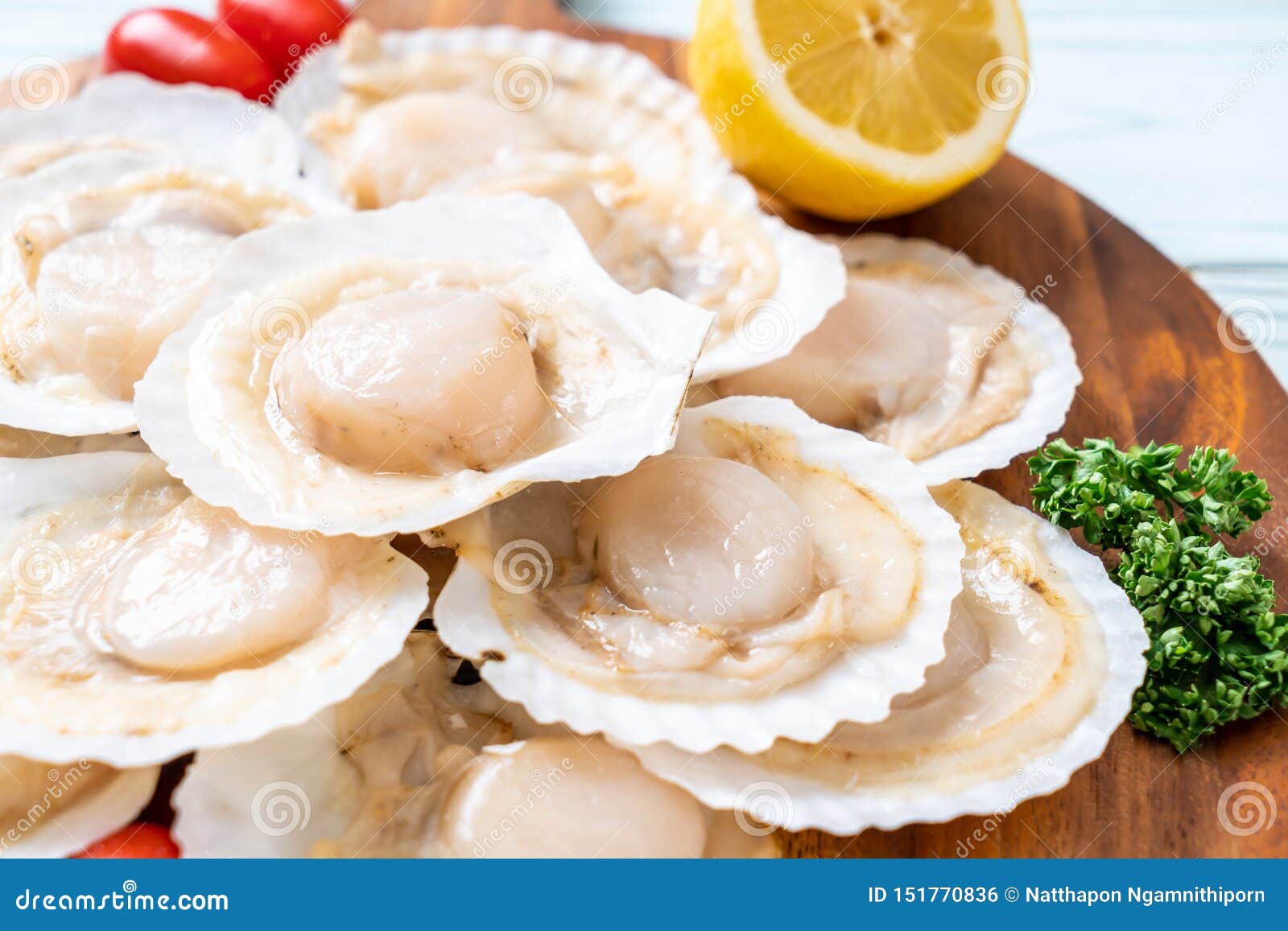Fresh shell scallop stock photo. Image of ingredient - 151770836