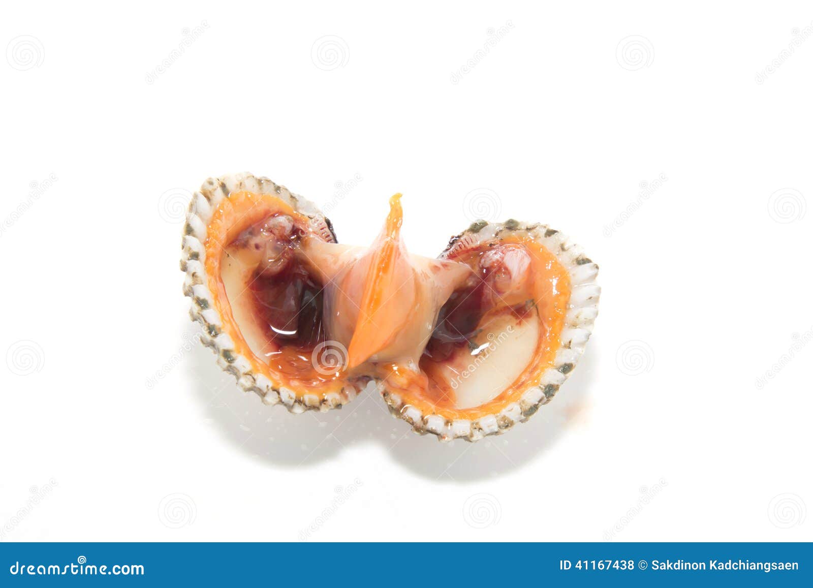 Fresh Shellfish Blood Cockles Stock Photo - Image of cockle, fresh ...
