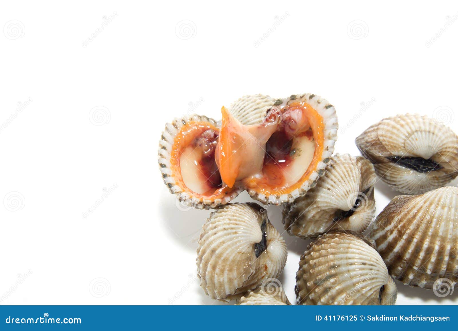 Fresh Shellfish Blood Cockles Stock Image - Image of meat, ingredient ...