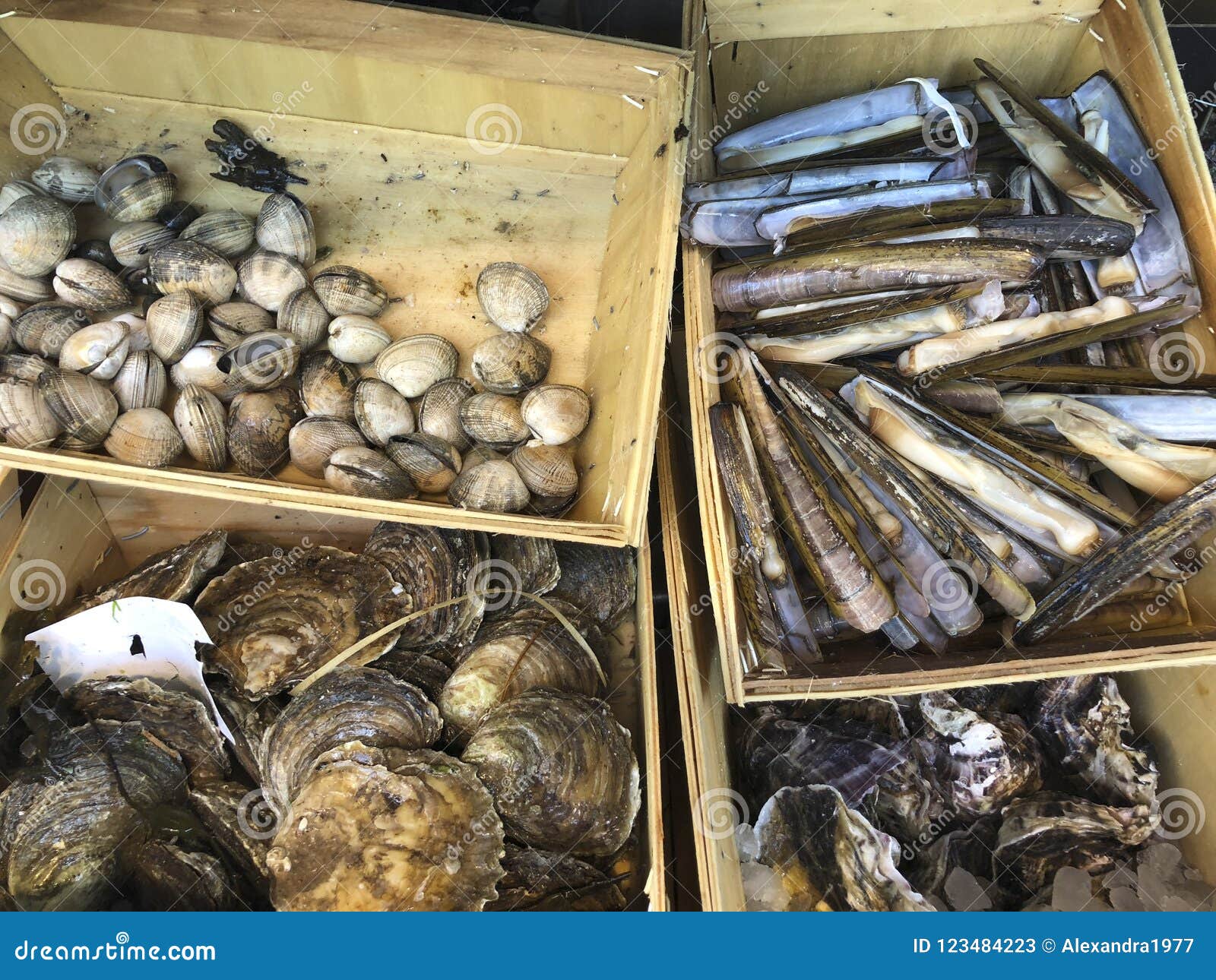 Fresh Seafood on Ice at a Market Stock Image - Image of razor, clams ...