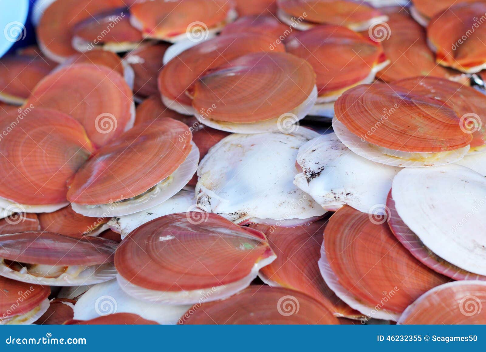 Fresh Shellfish at the Market Stock Image - Image of tasty, animals ...