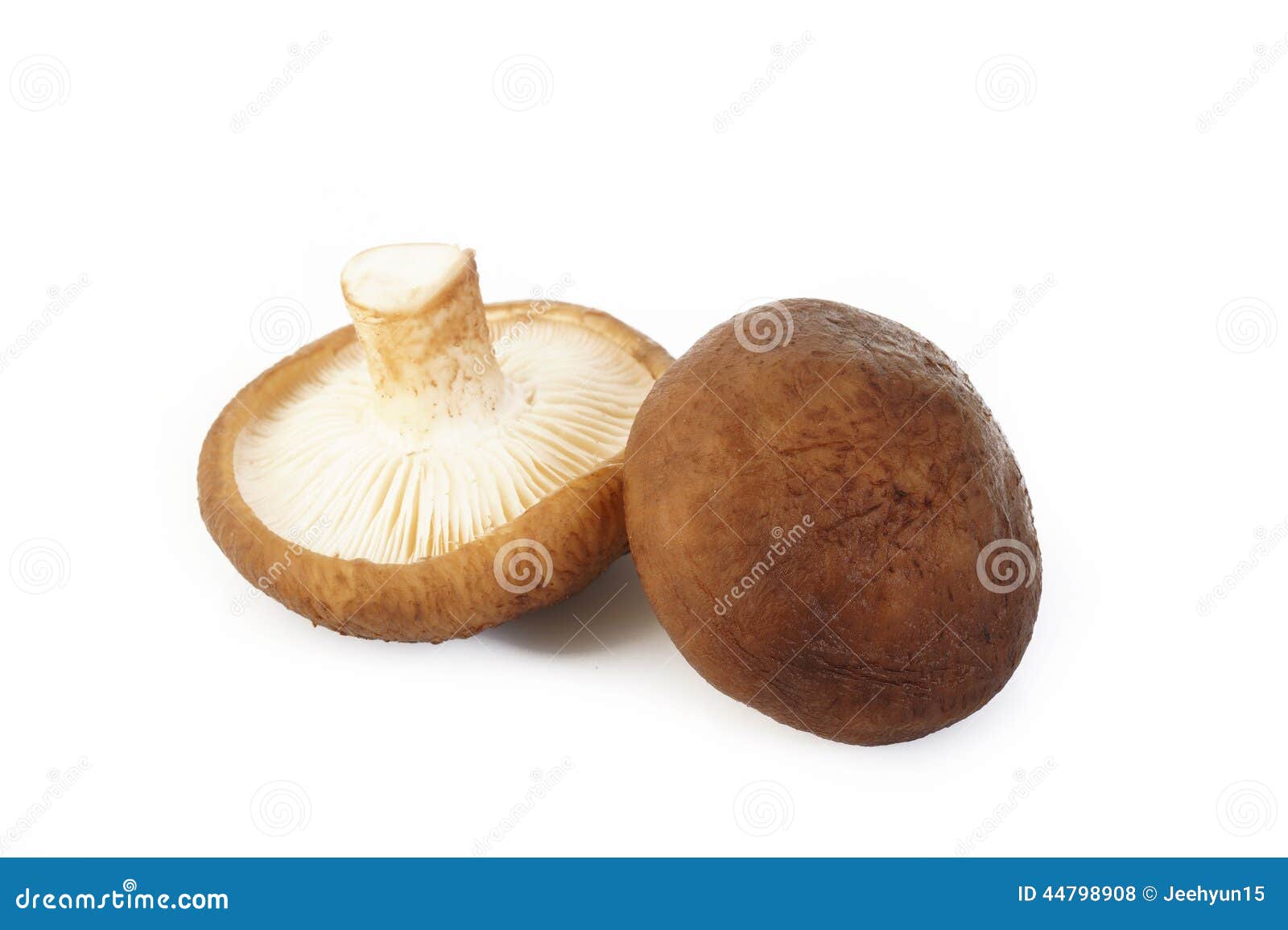 Fresh Shiitake Mushroom Isolated Stock Photo - Image of food ...