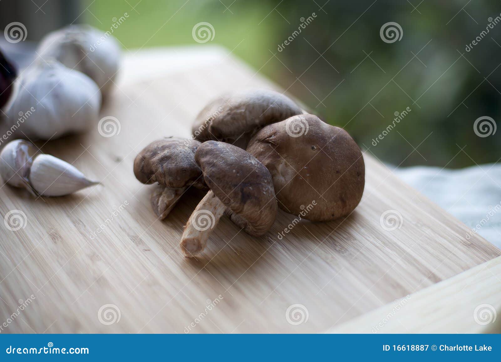 Fresh Shitake Mushrooms. stock image. Image of shitake - 16618887