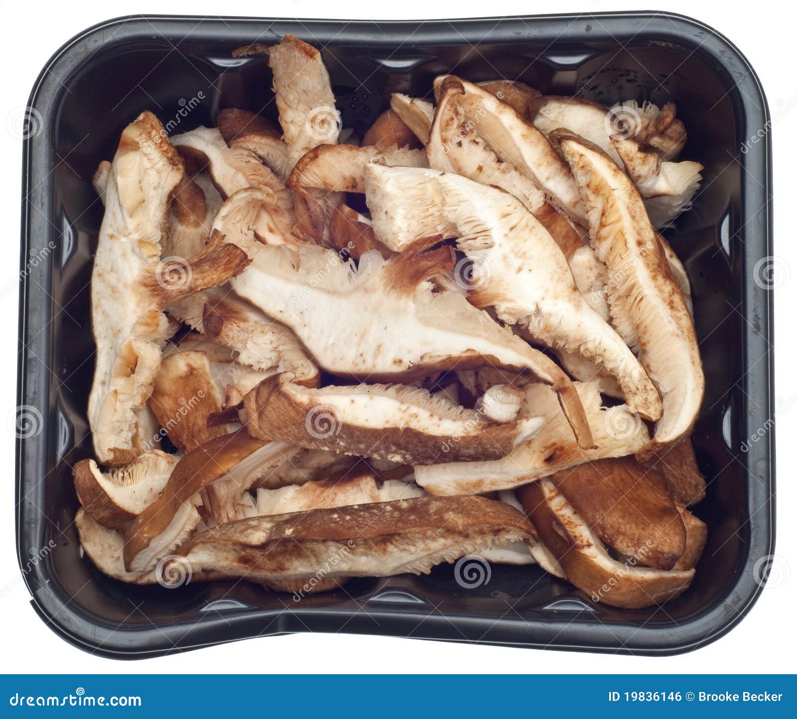 Fresh Shitake Mushrooms stock photo. Image of brown, shitake - 19836146