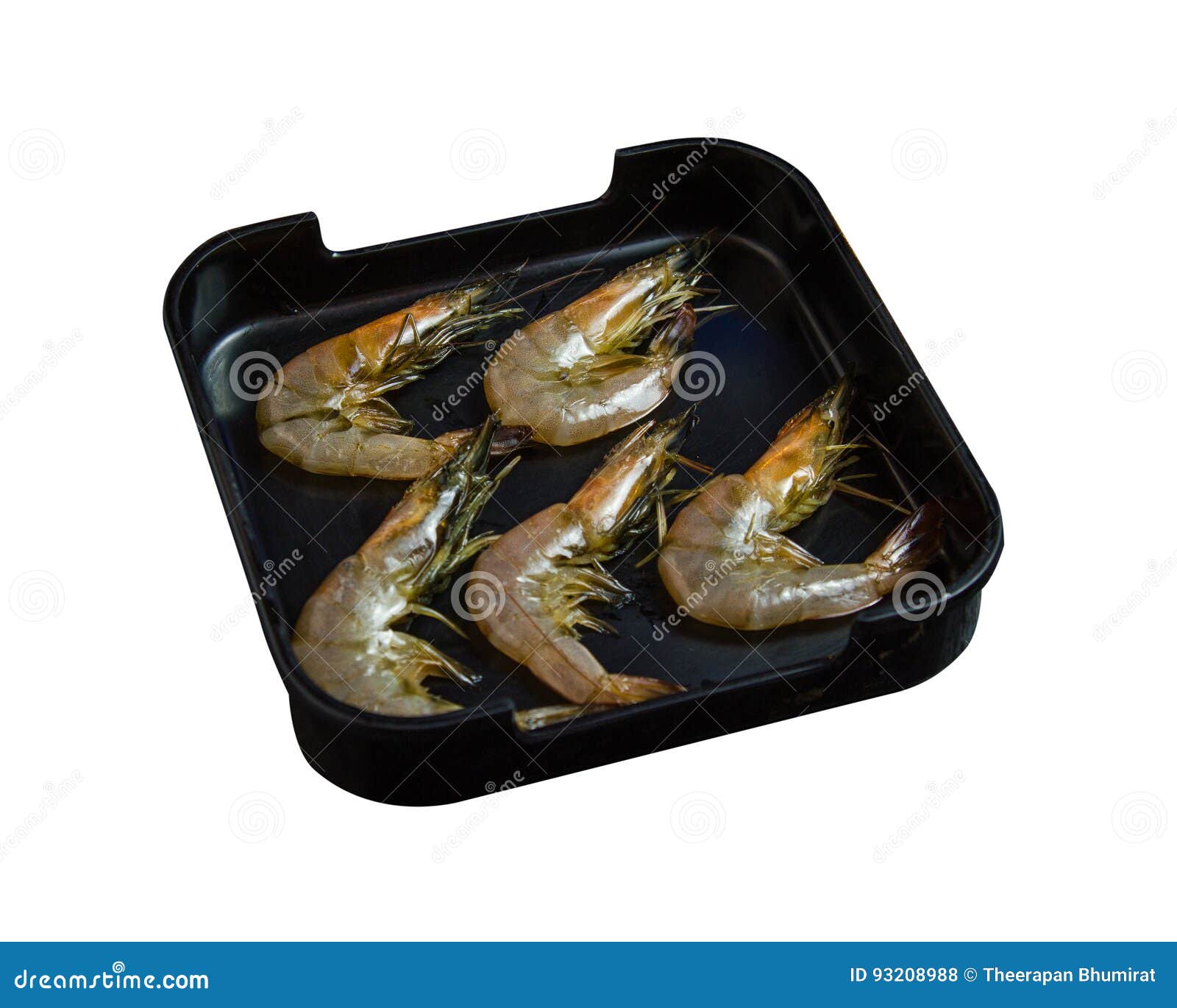 Fresh Shrimp in Black Square Plate Stock Photo - Image of black, single ...